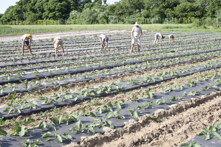 A Day in the Life of a Farm | The Kitchn