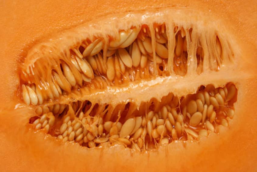 Fear of Cantaloupes, Crumpets & More: Is Trypophobia for Real? | The Kitchn