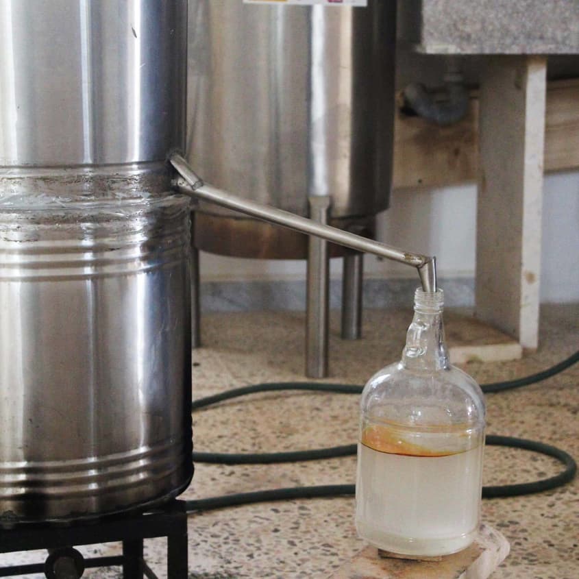 Taming the Wild Thyme: A Visit to a Za’atar Farm in Lebanon | The Kitchn