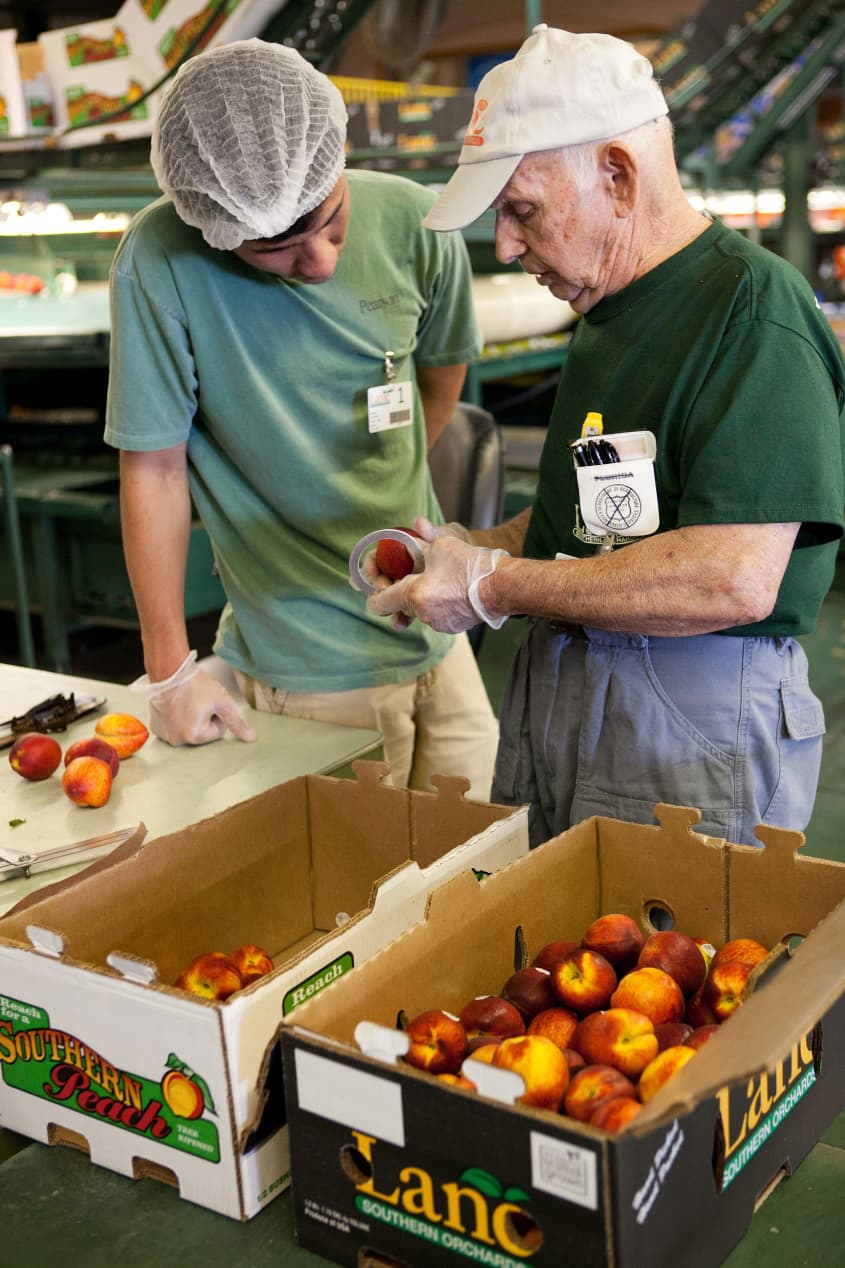 How Peaches Are Packed for Shipping | The Kitchn