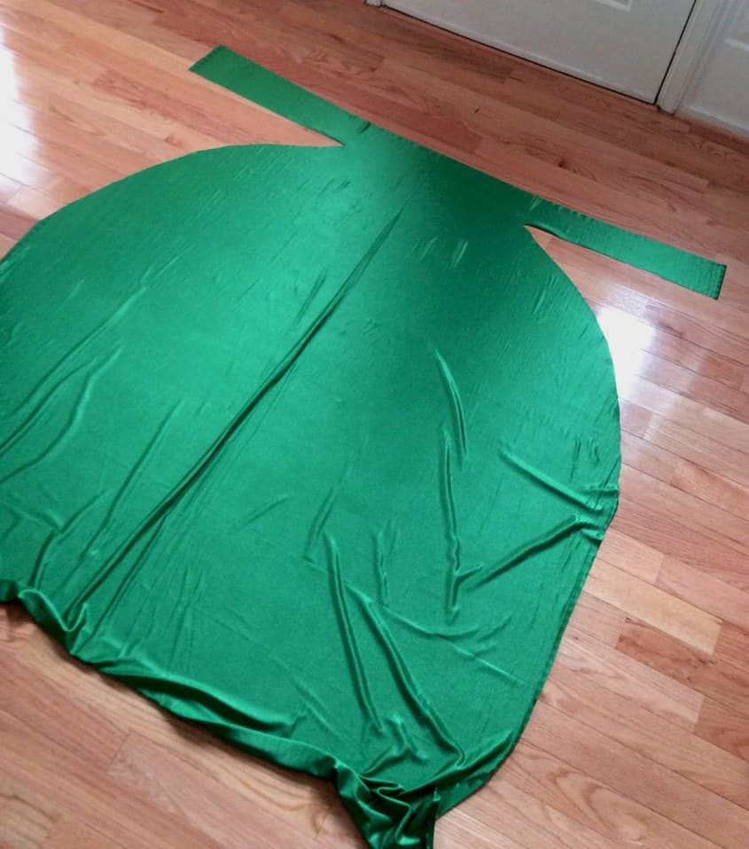 A Captain Kale Costume for Halloween | The Kitchn