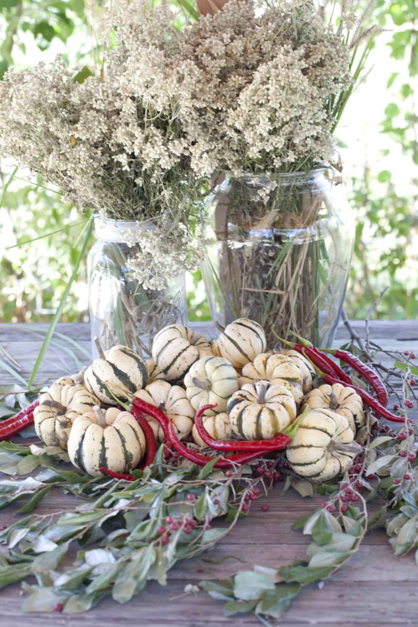 How Farmers Celebrate the End of a Season: The OktoberFeast Potluck at ...