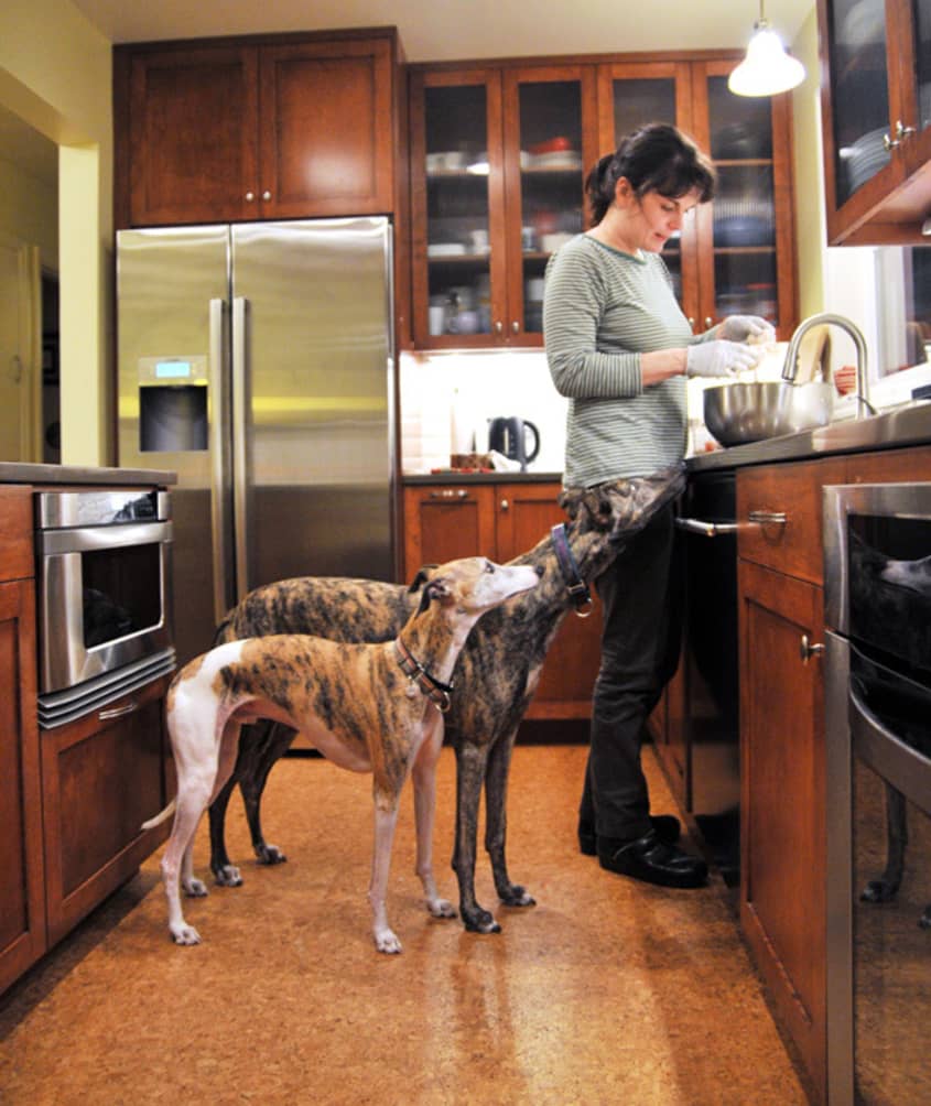 15 Adorable Pets Who Make Their Kitchen a Happier Place | The Kitchn