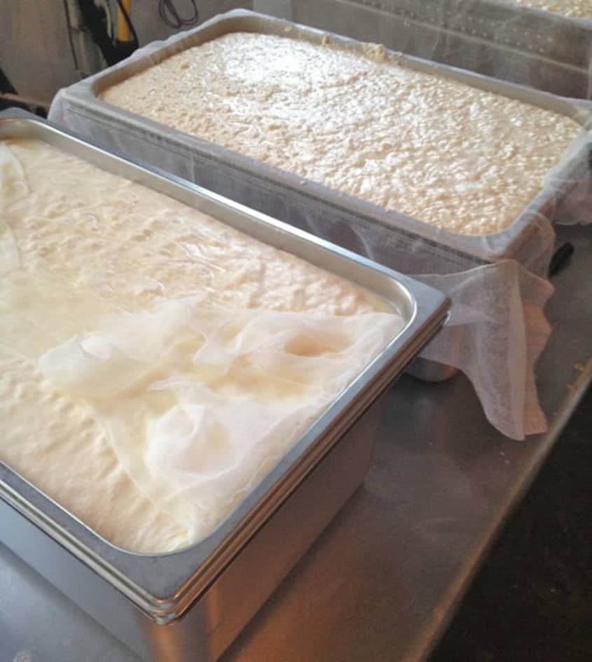 How Fresh Ricotta Cheese Is Made: A Visit to Salvatore Ricotta in ...