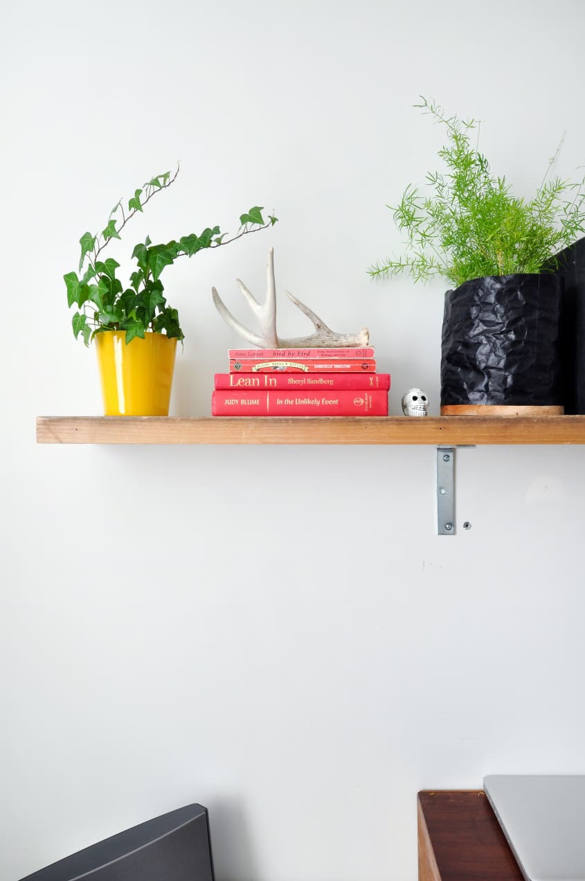 House Tour: An Art & Plant-Filled Toronto Rental | Apartment Therapy