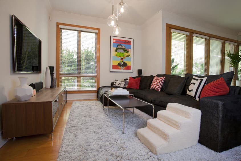 Chad Rogers’ Modern, Pet-Friendly Condo | Apartment Therapy