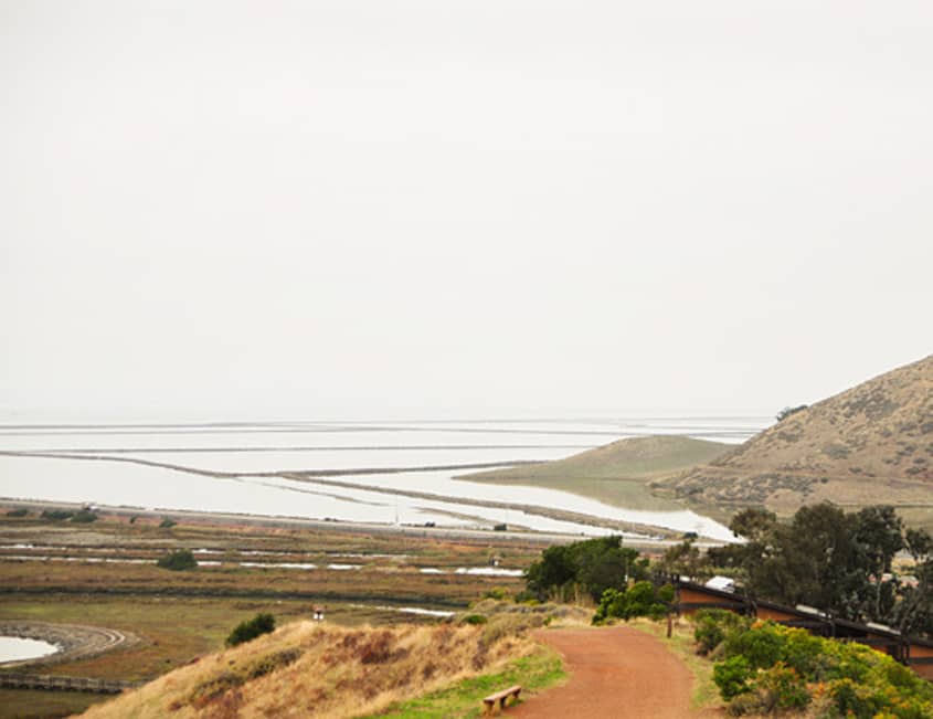 From Ocean to Box: How Sea Salt Is Harvested | The Kitchn