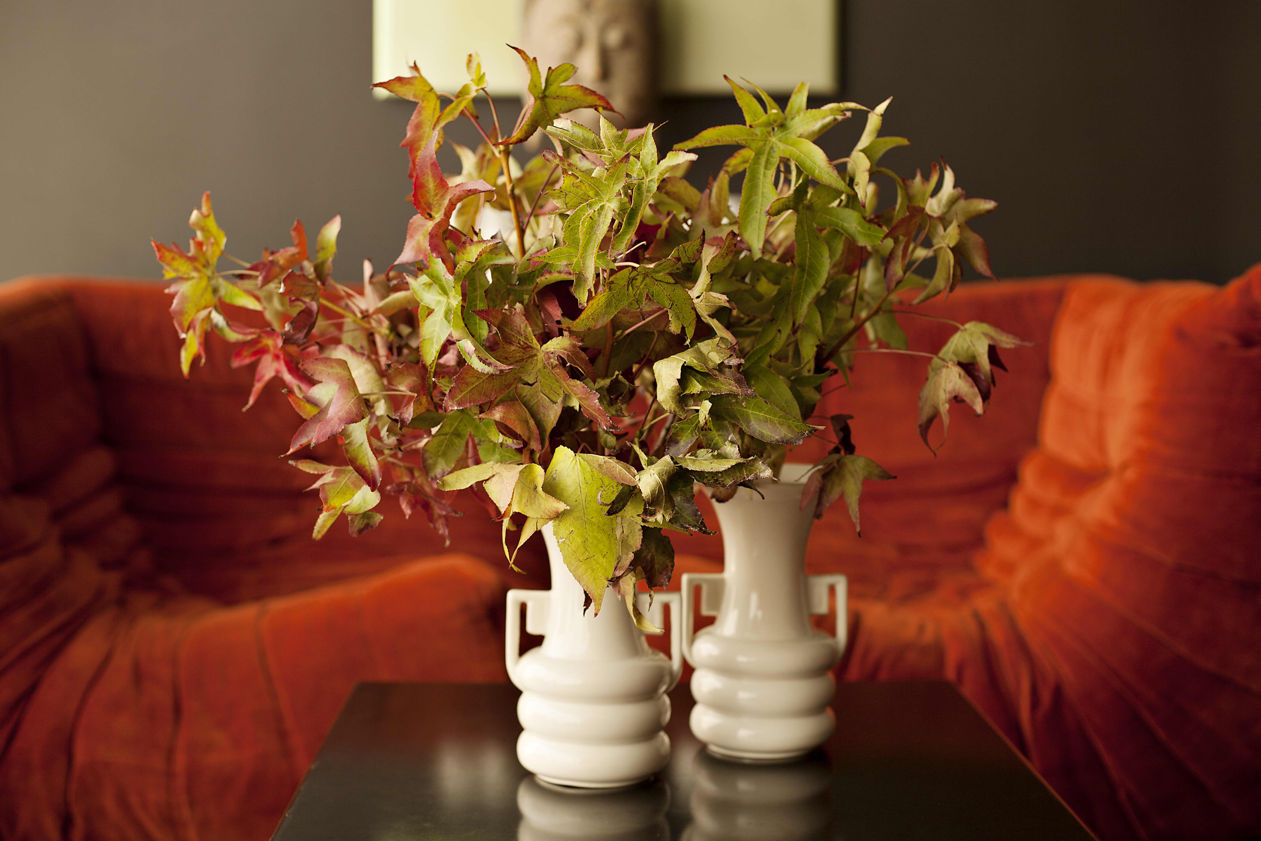 House Tour: A Contemporary Urban Desert Home | Apartment Therapy