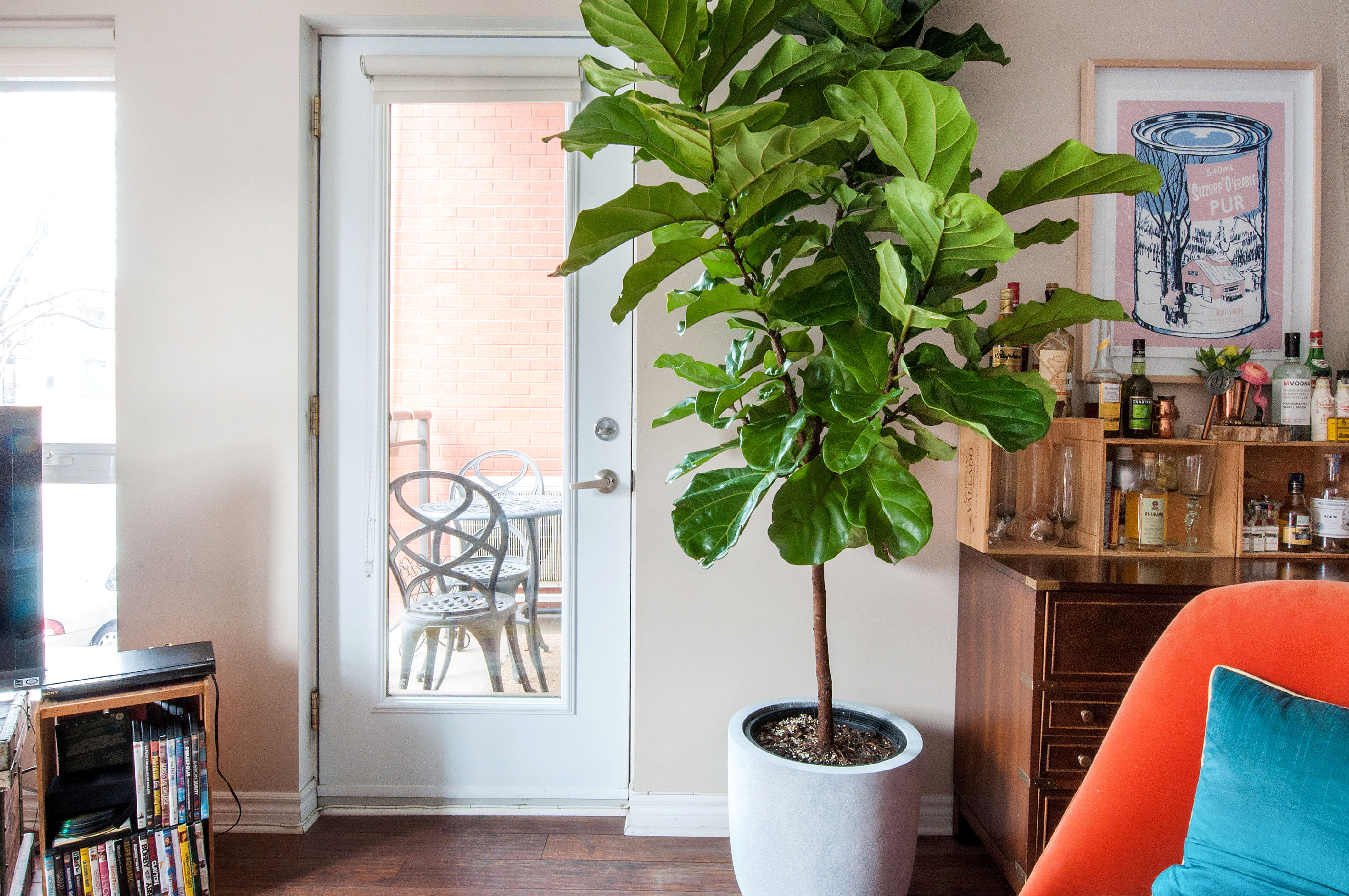 House Tour: An Art Director's DIY Montreal Apartment | Apartment Therapy