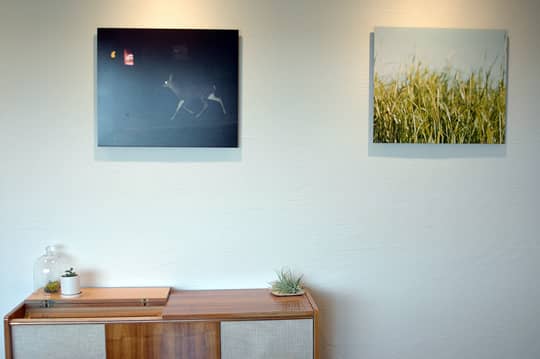 Alexis and Rob’s BoMo House in the Hills | Apartment Therapy