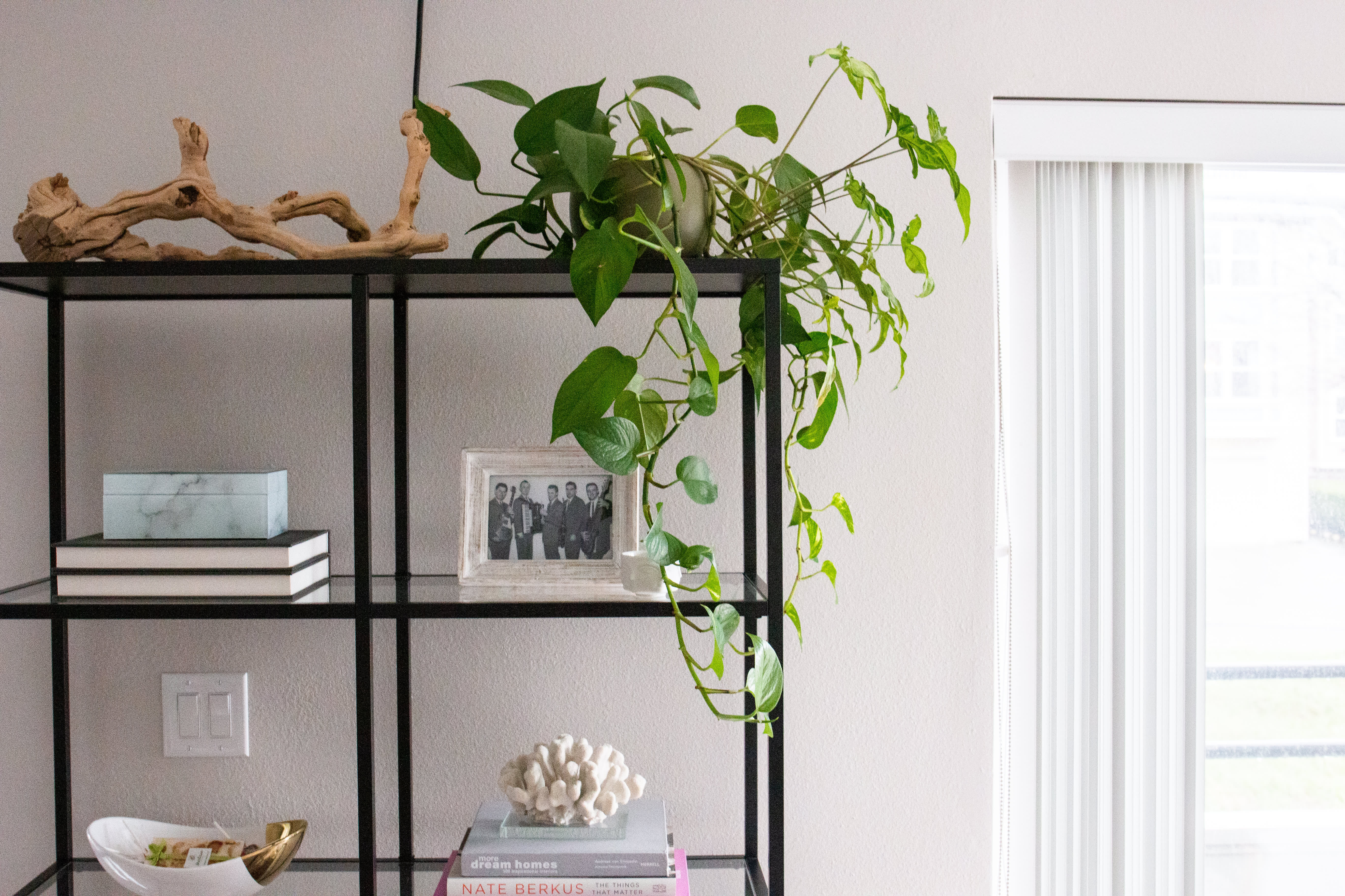 Scandinavian-Inspired Minimal Seattle Apartment Tour | Apartment Therapy