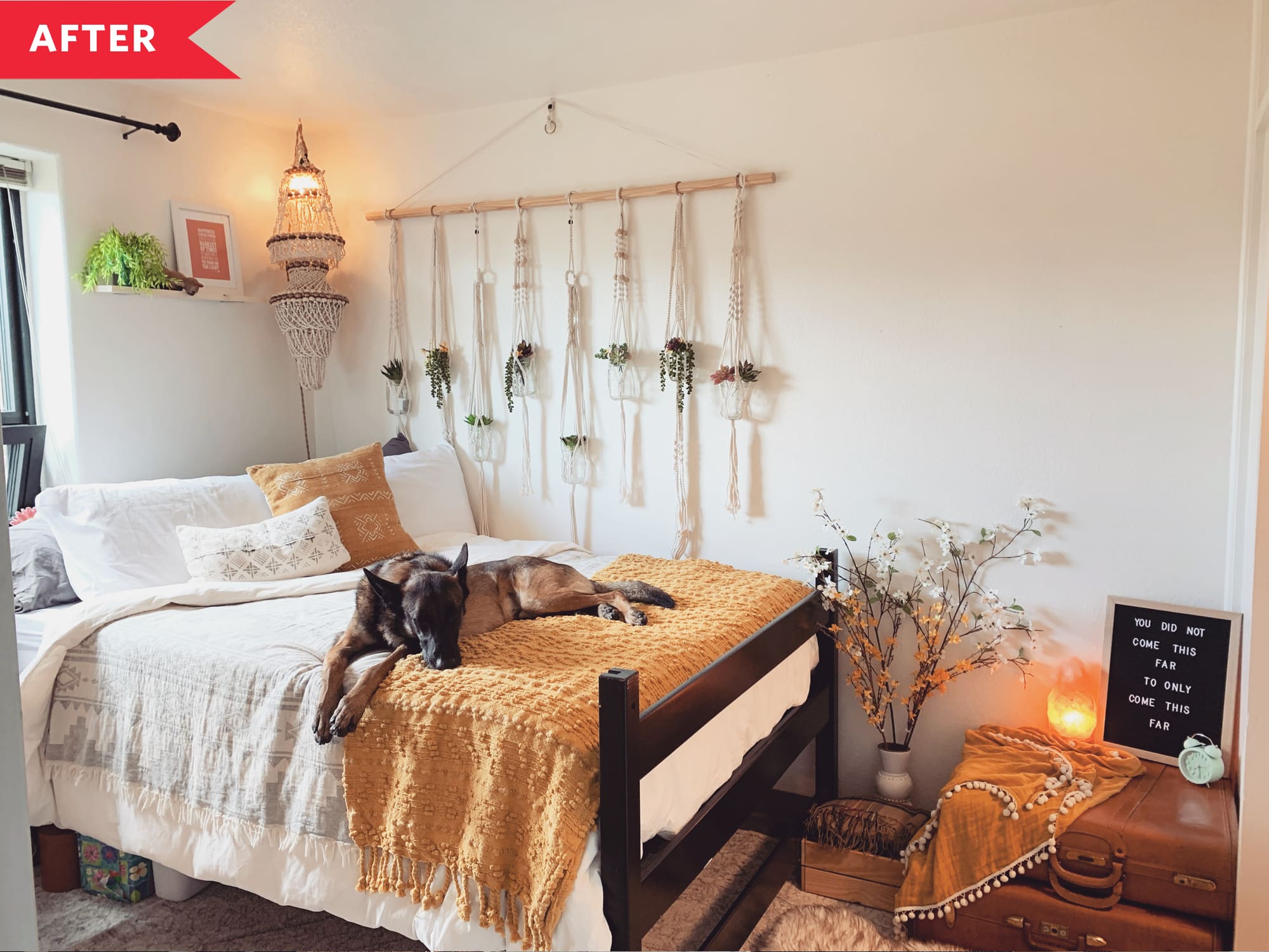 Budget Makeover Dorm Apartment Tour Photos | Apartment Therapy