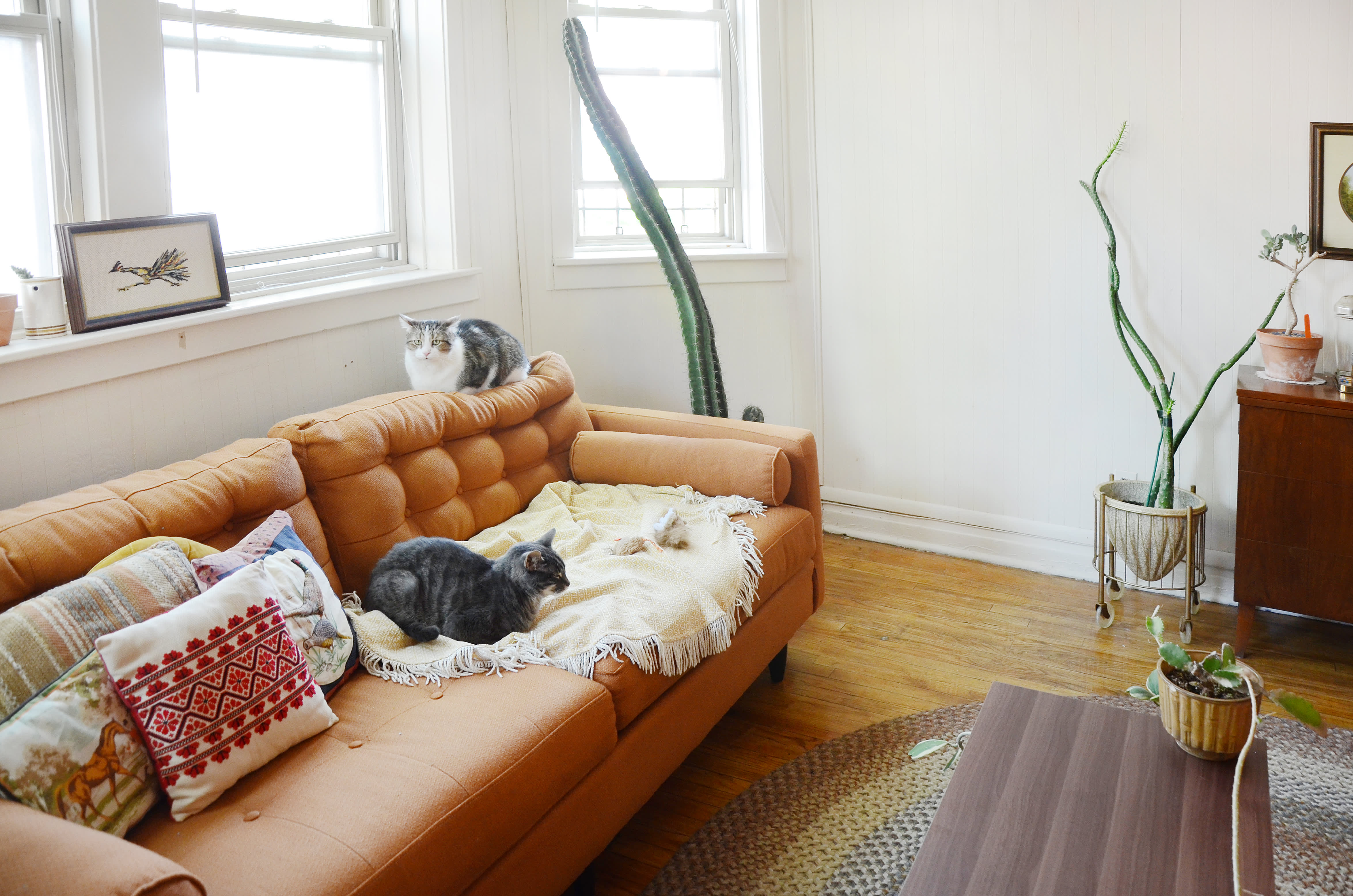 Tour a Chicago Garden Unit Filled with Vintage Finds | Apartment Therapy