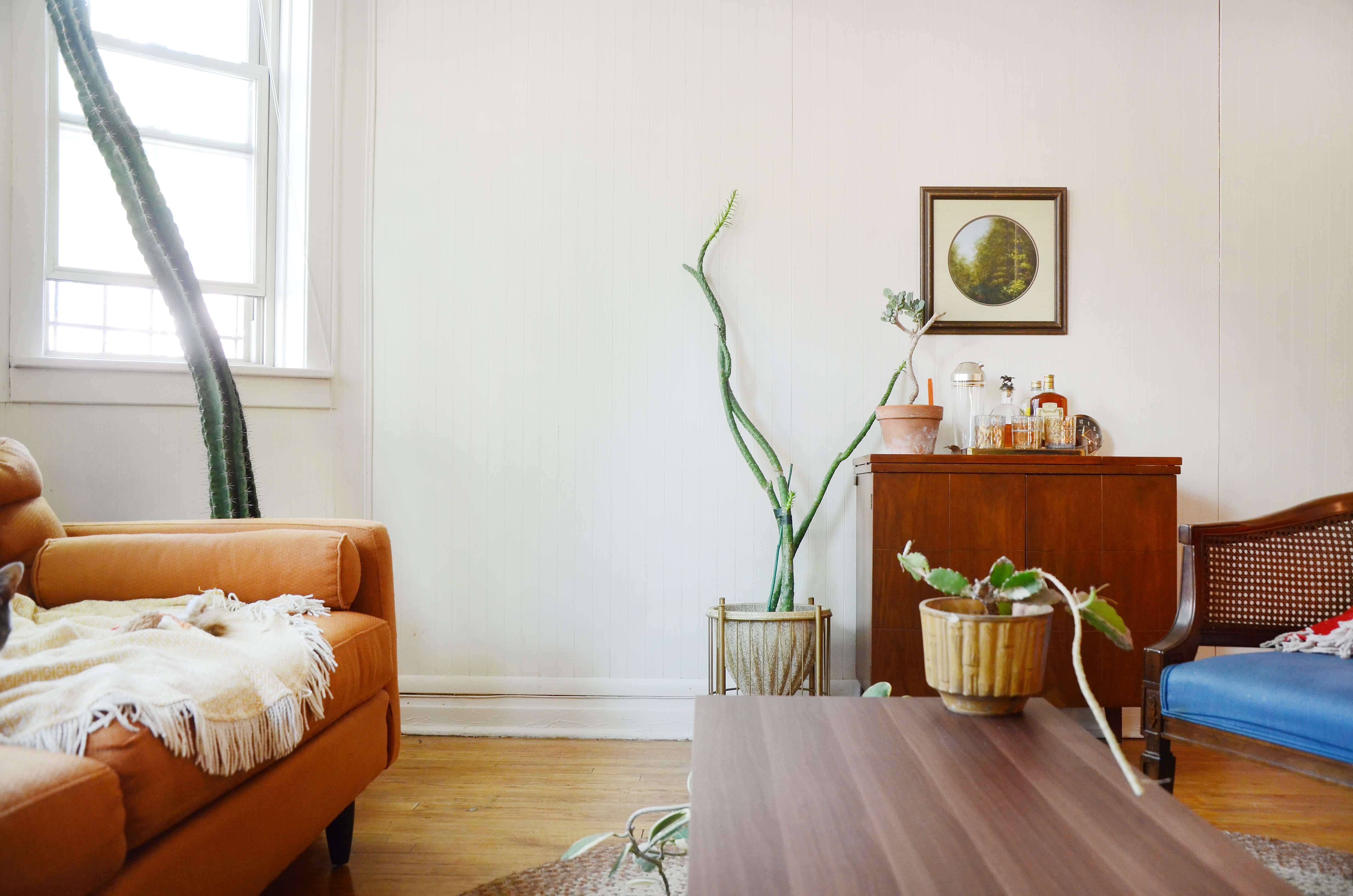 Tour a Chicago Garden Unit Filled with Vintage Finds | Apartment Therapy