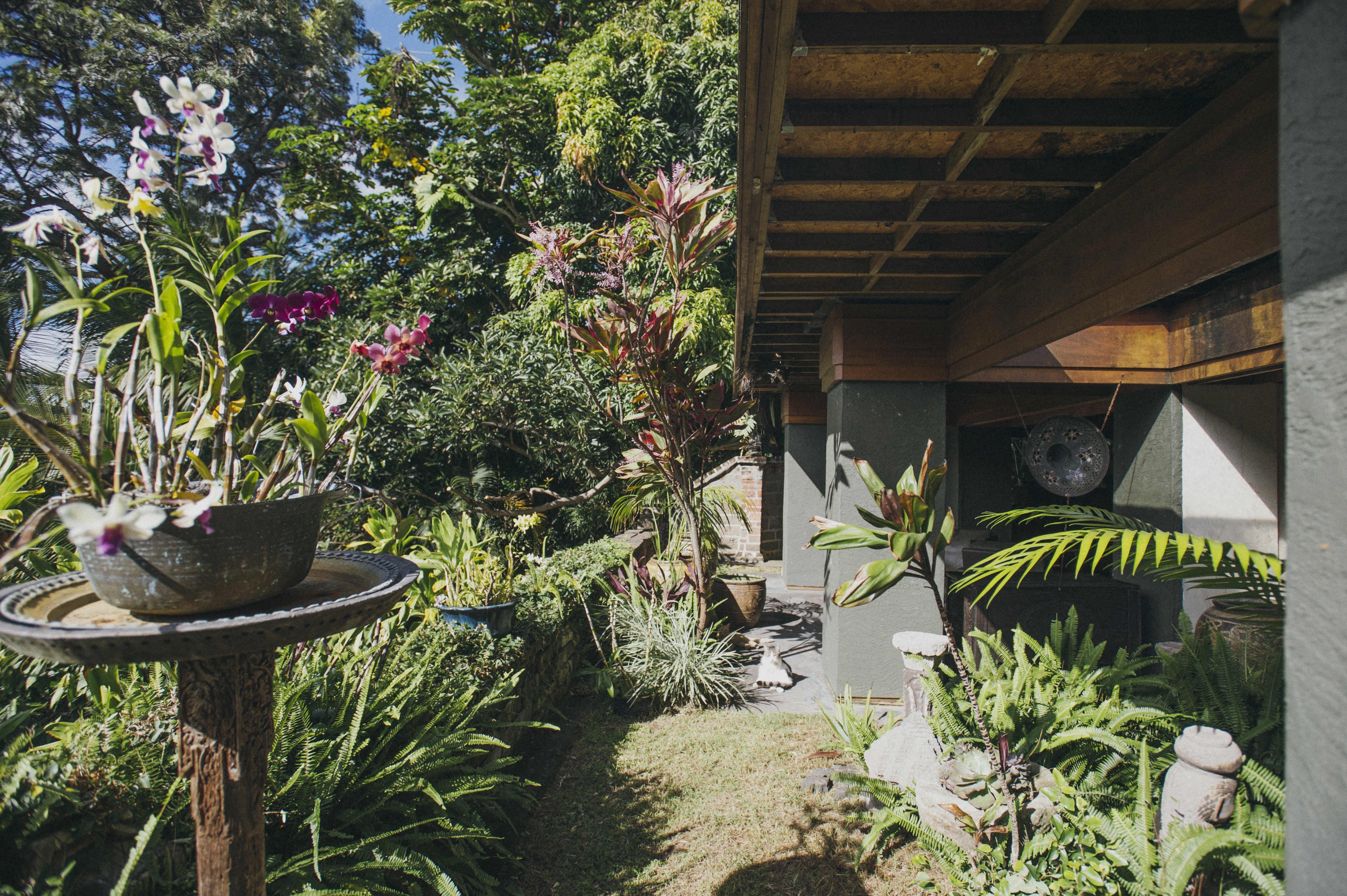 Rustic Bohemian Hawaii Home Surrounded by Jungle | Apartment Therapy