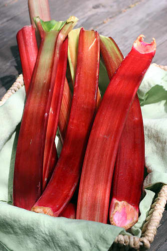 A Guide to Selecting the Best Produce: Vegetables | Kitchn