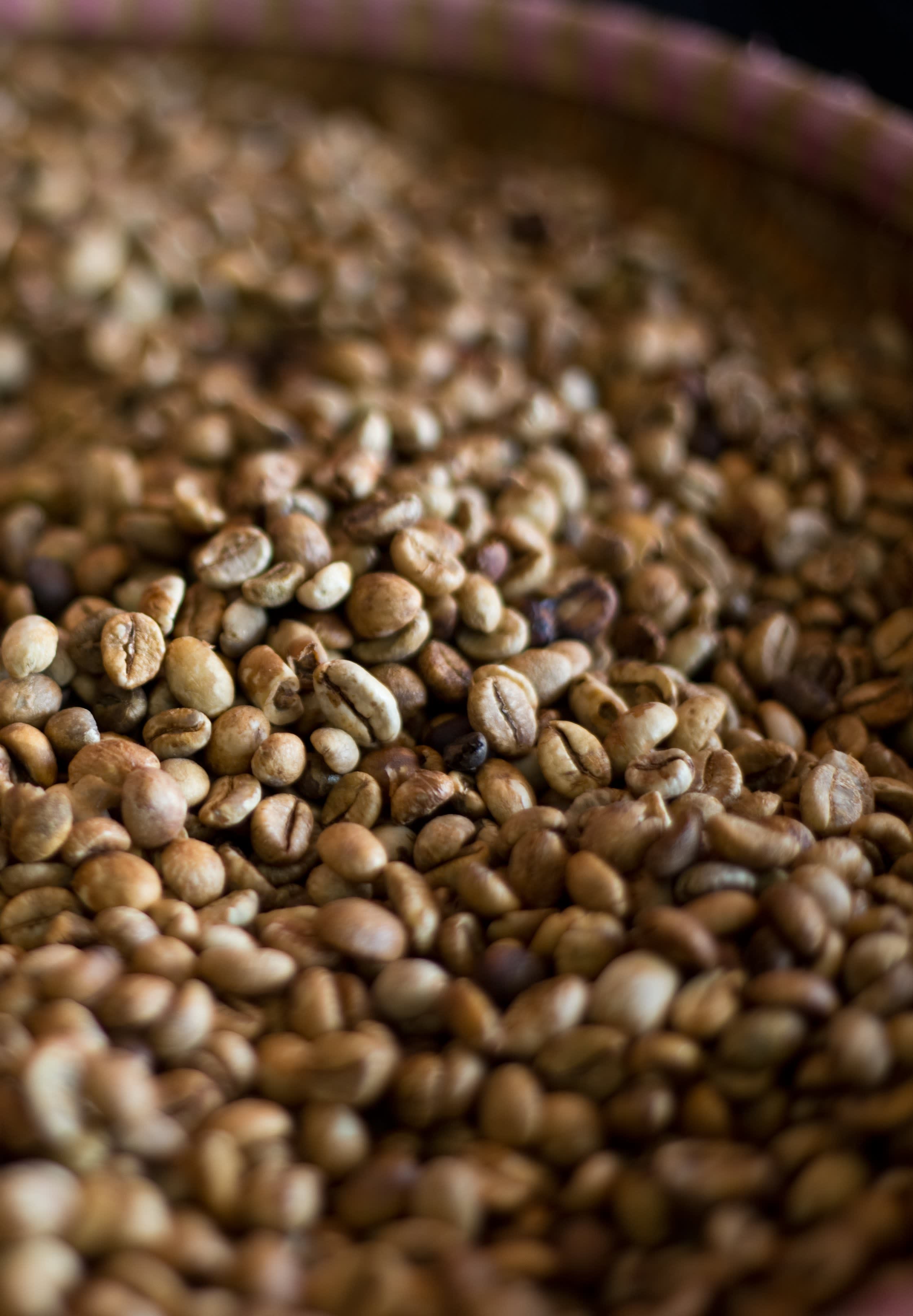 Everything You Wanted to Know (But Were Afraid to Ask) About Coffee ...