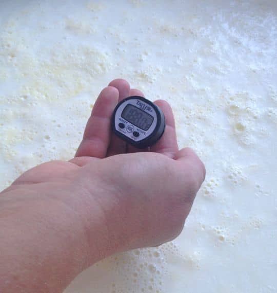 How Fresh Ricotta Cheese Is Made: A Visit to Salvatore Ricotta in ...