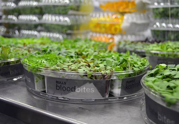 The Chef’s Garden: A Very Unusual Family Farm in Ohio | Kitchn