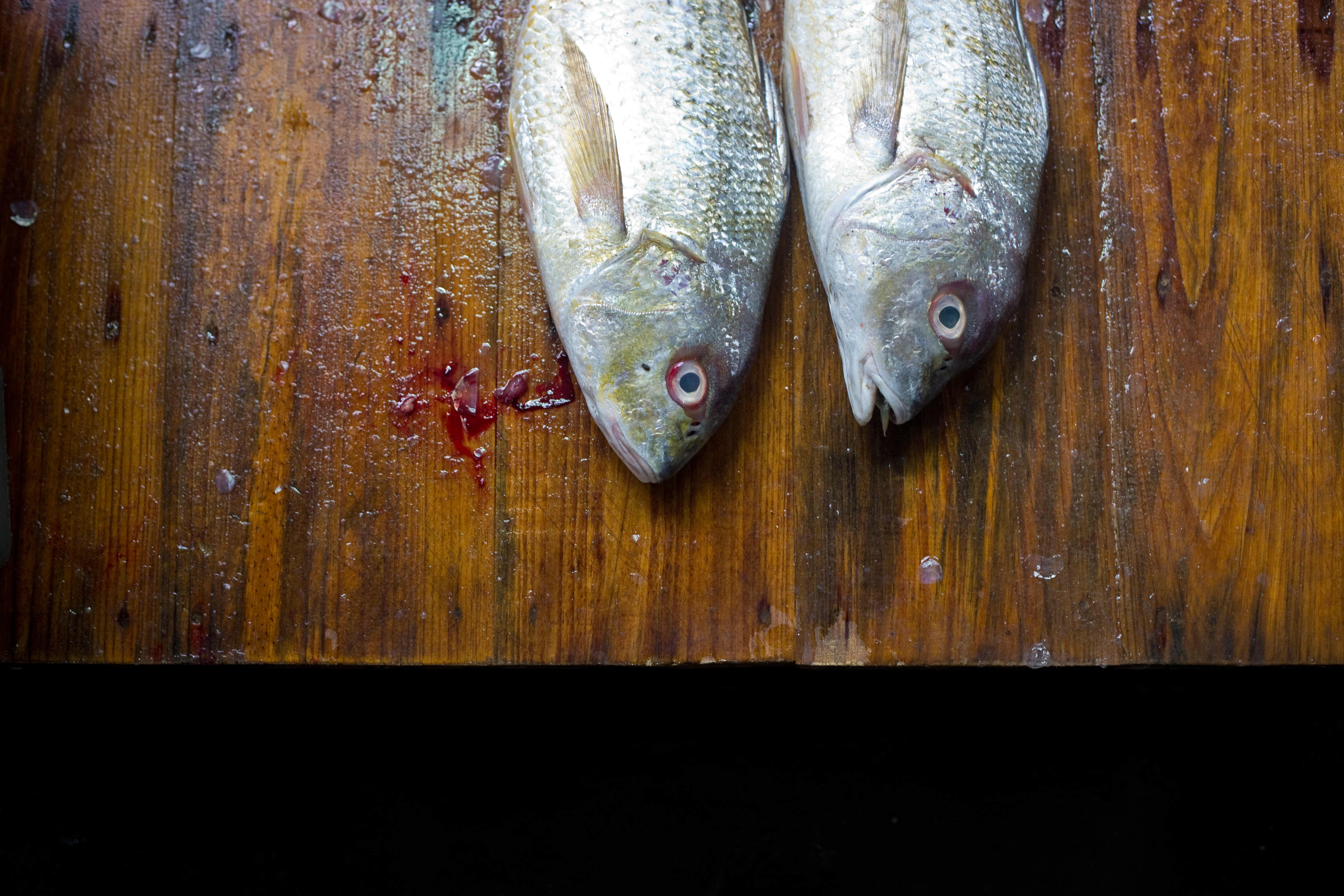 If You Love Seafood, You Should See This Market Tour of Cat Ba Island ...