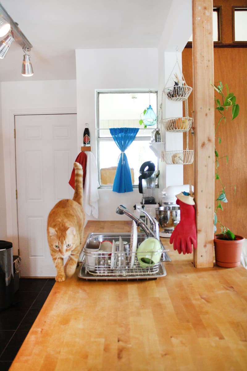Kate Payne’s Hip, Homemaking Haven | Kitchn
