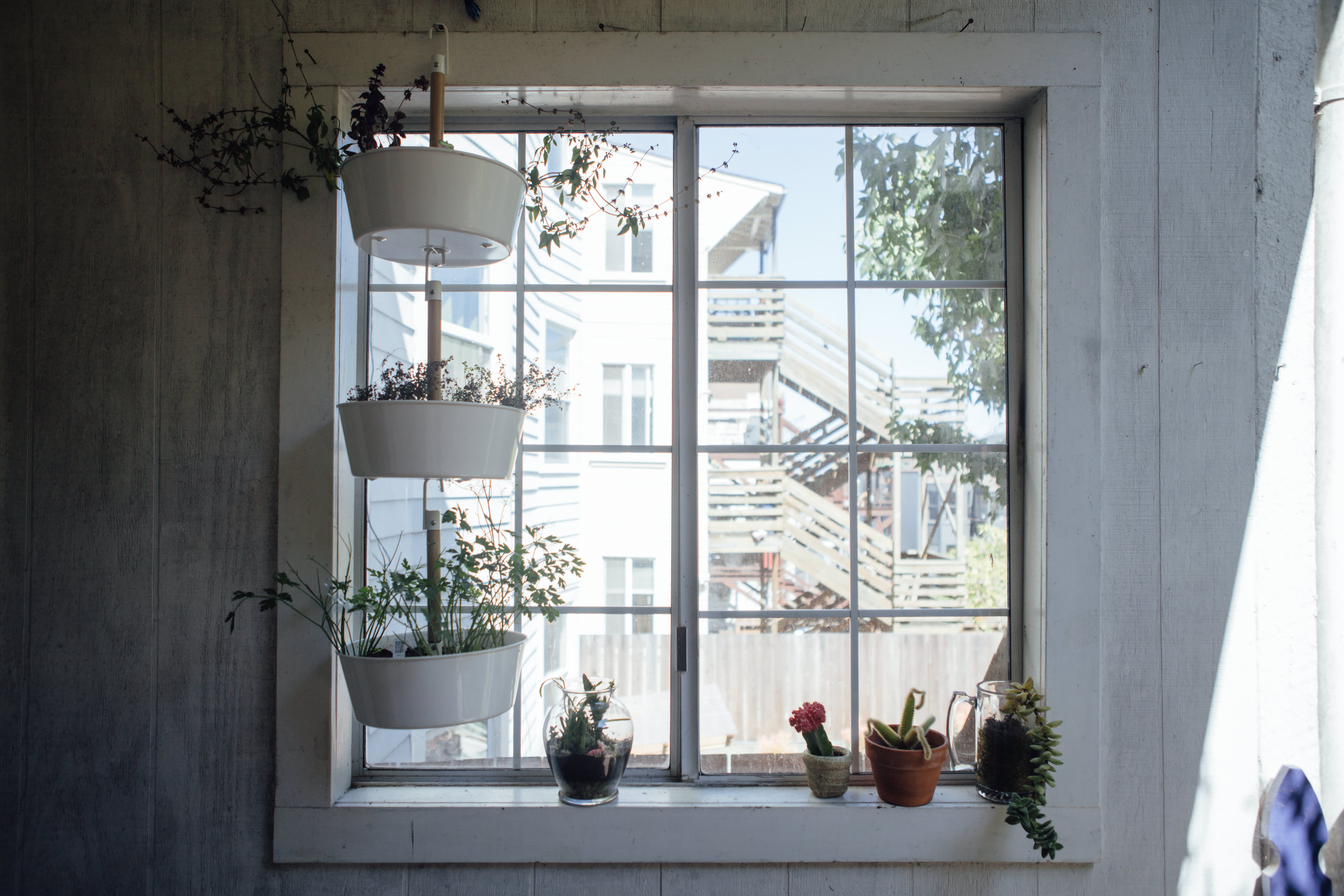 House Tour: A Plant Filled San Francisco Apartment | Apartment Therapy