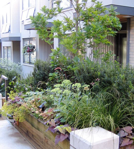 Andrea’s Mini Urban Farm | Apartment Therapy