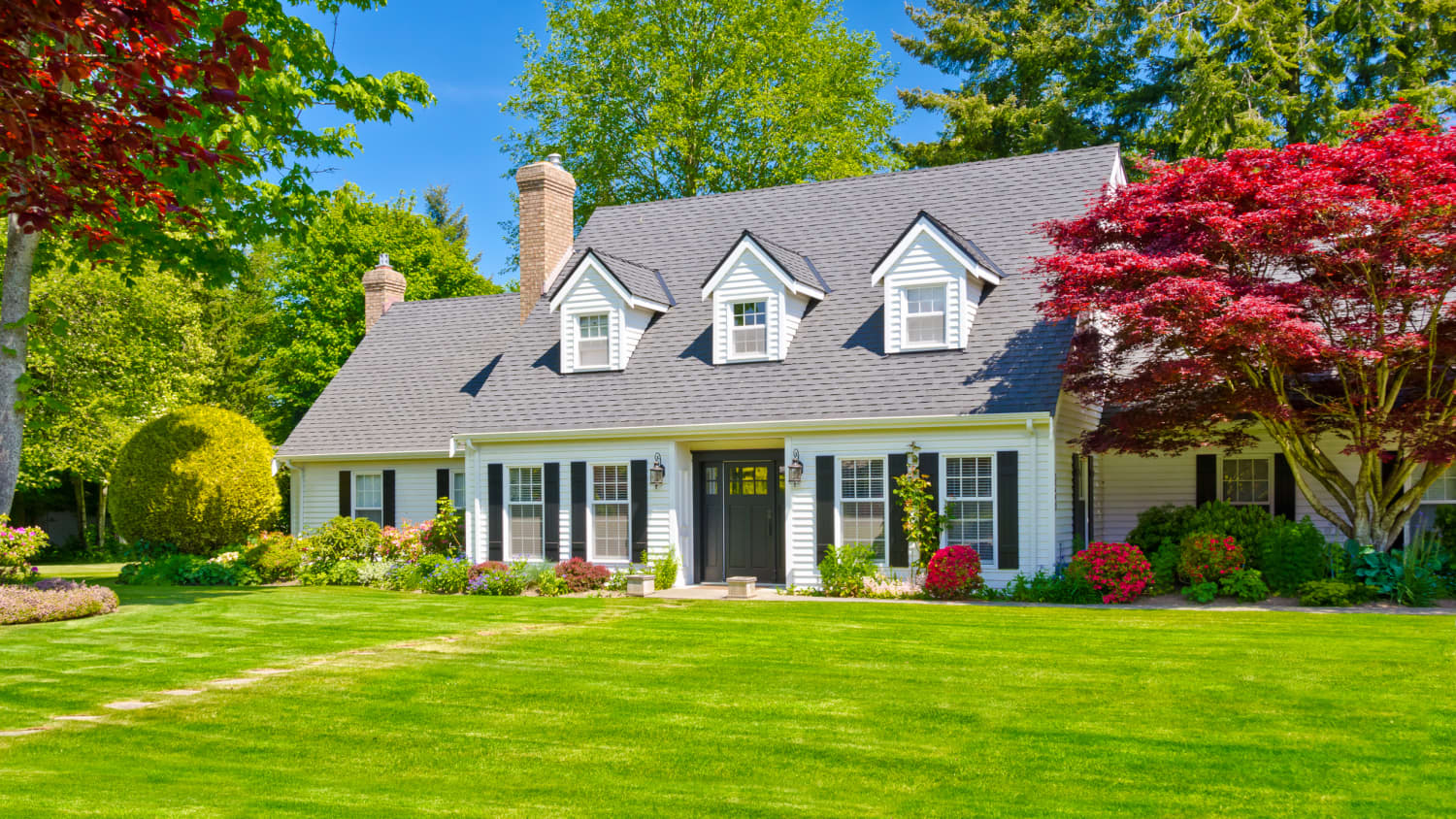 how to make cape cod