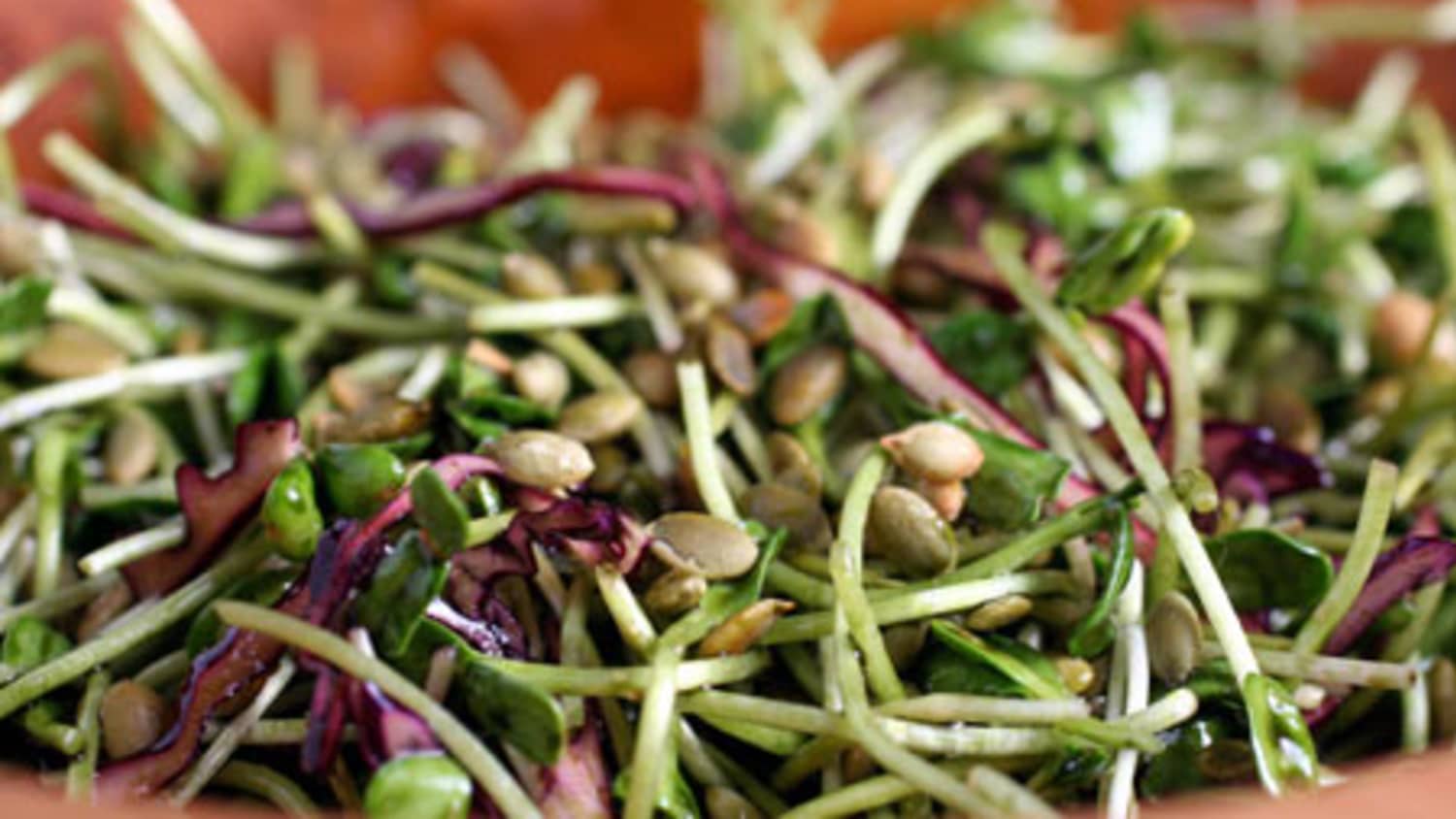 Alfalfa Sprouts Recipes