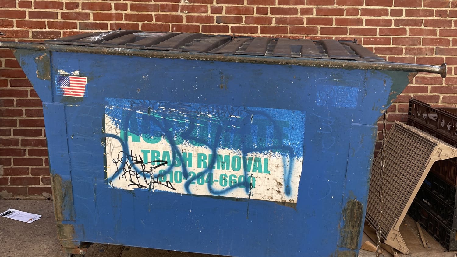 is dumpster diving real
