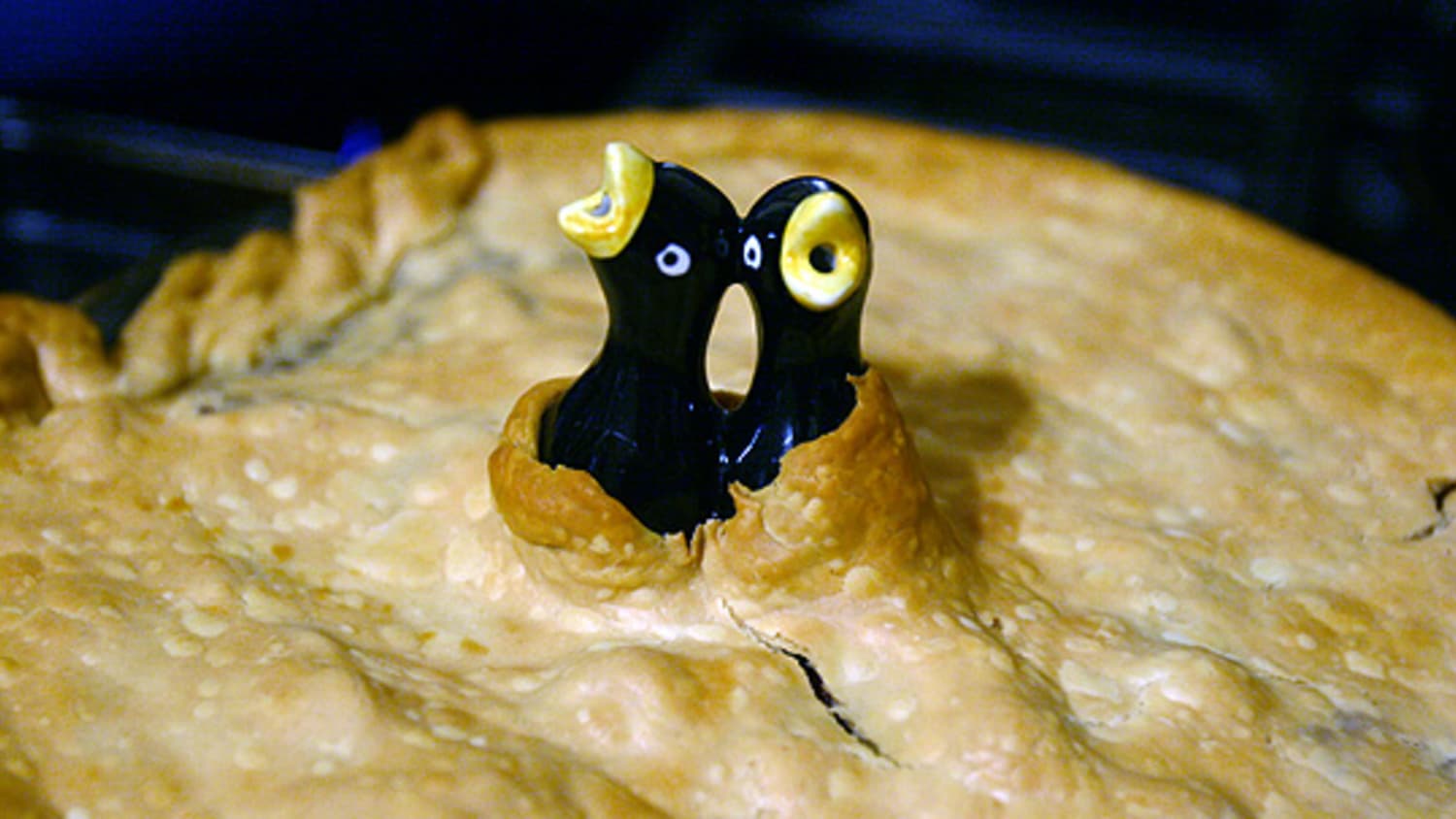 pie bird funnel