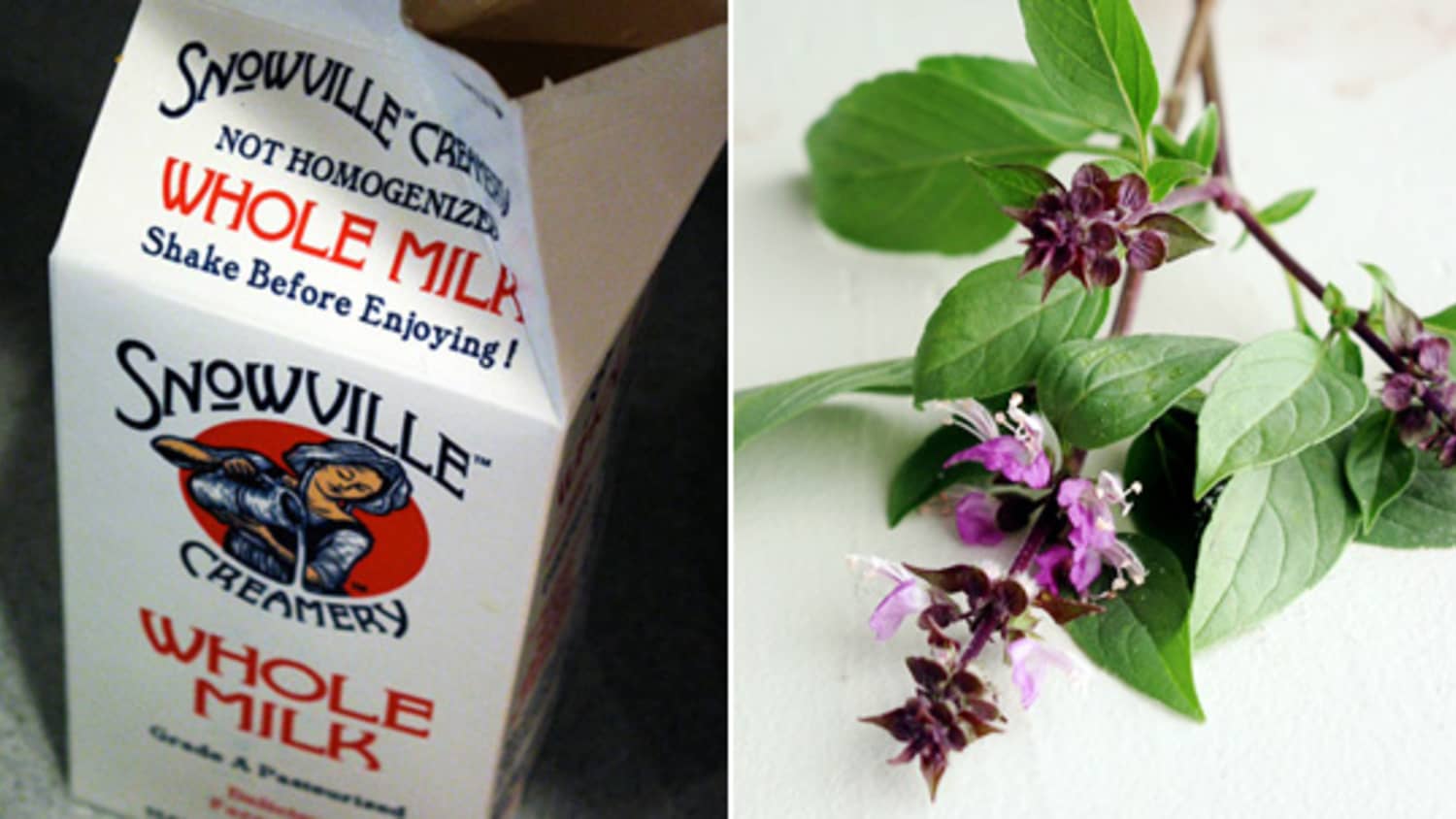 fresh milk violet packaging
