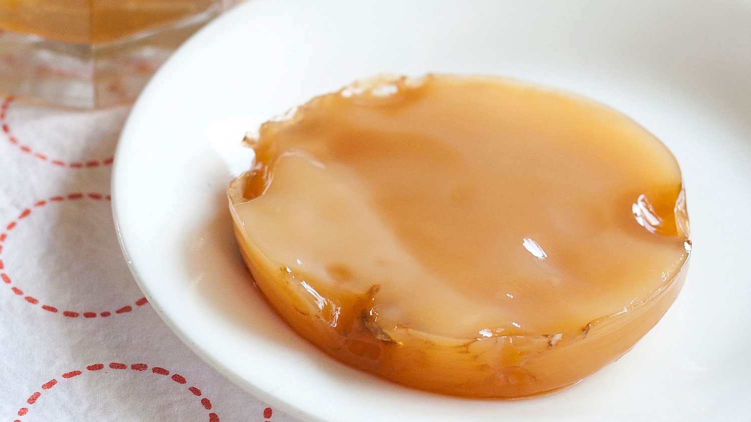 kombucha tea scoby