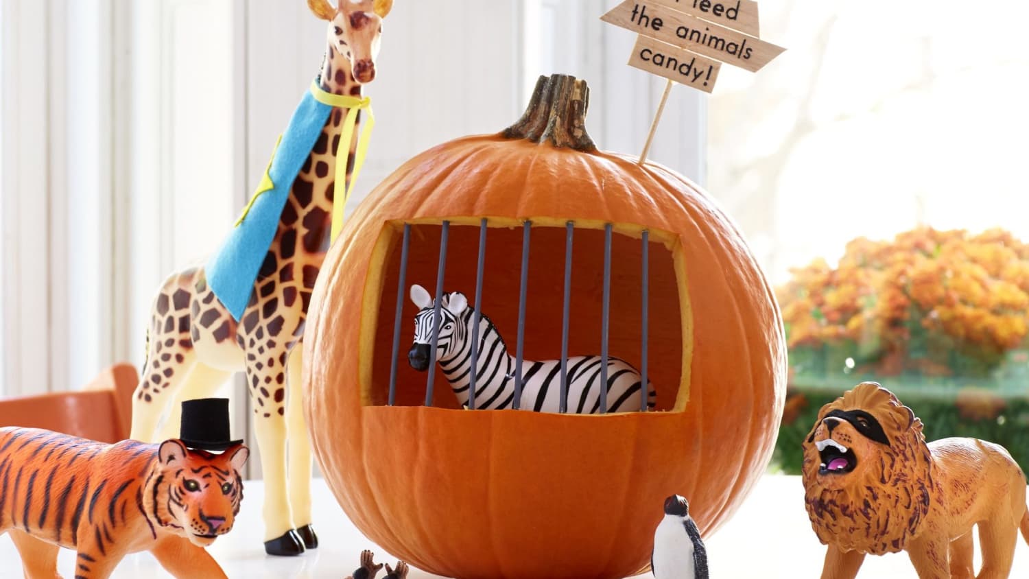 orange pumpkin ideas