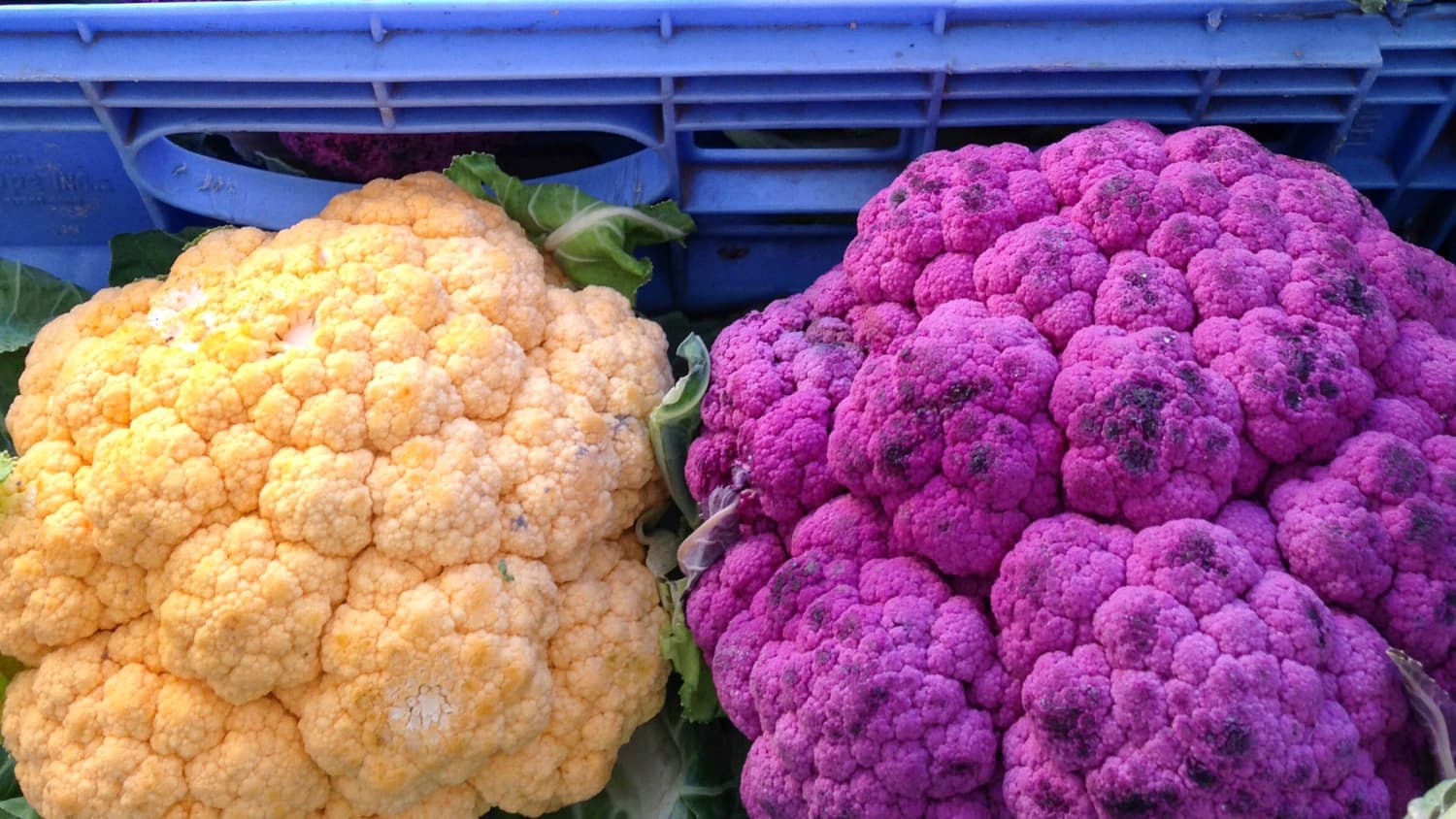colour cauliflower