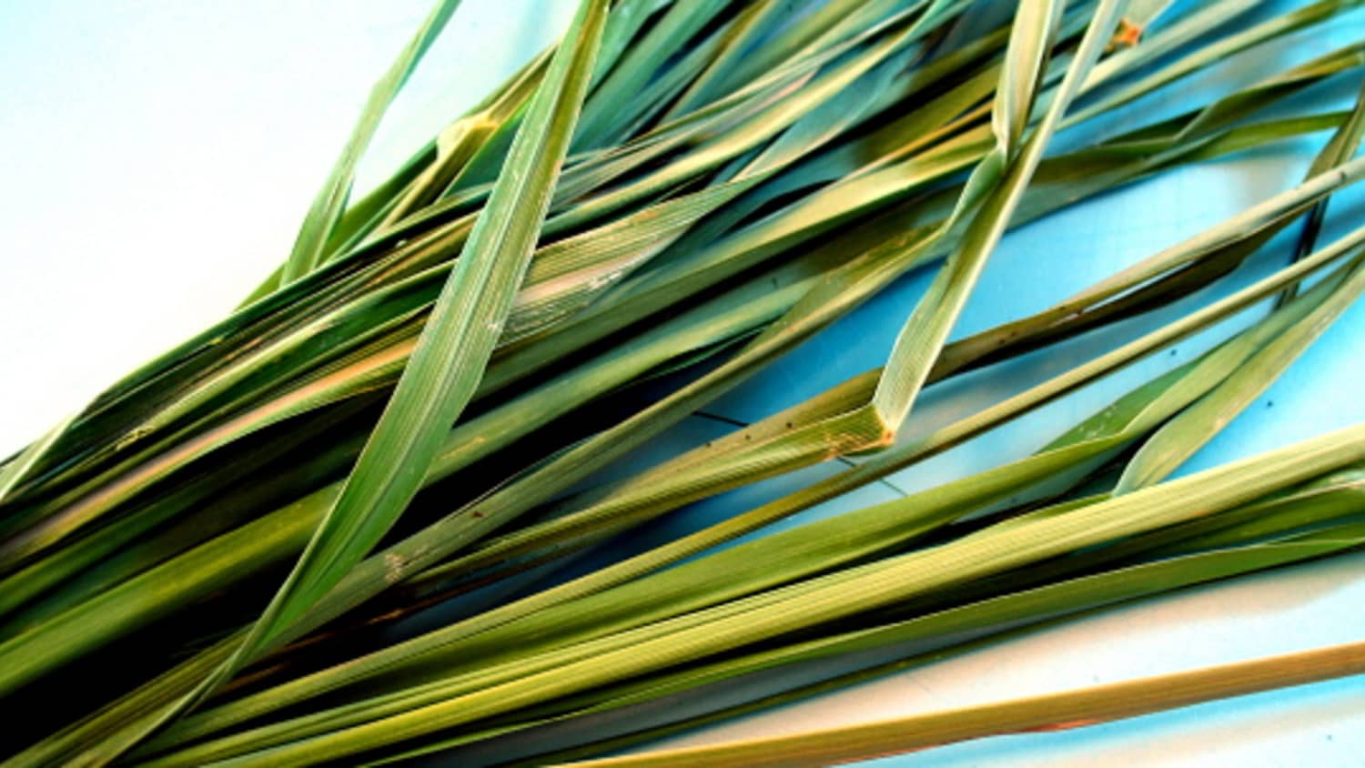 how to cook with lemongrass leaves