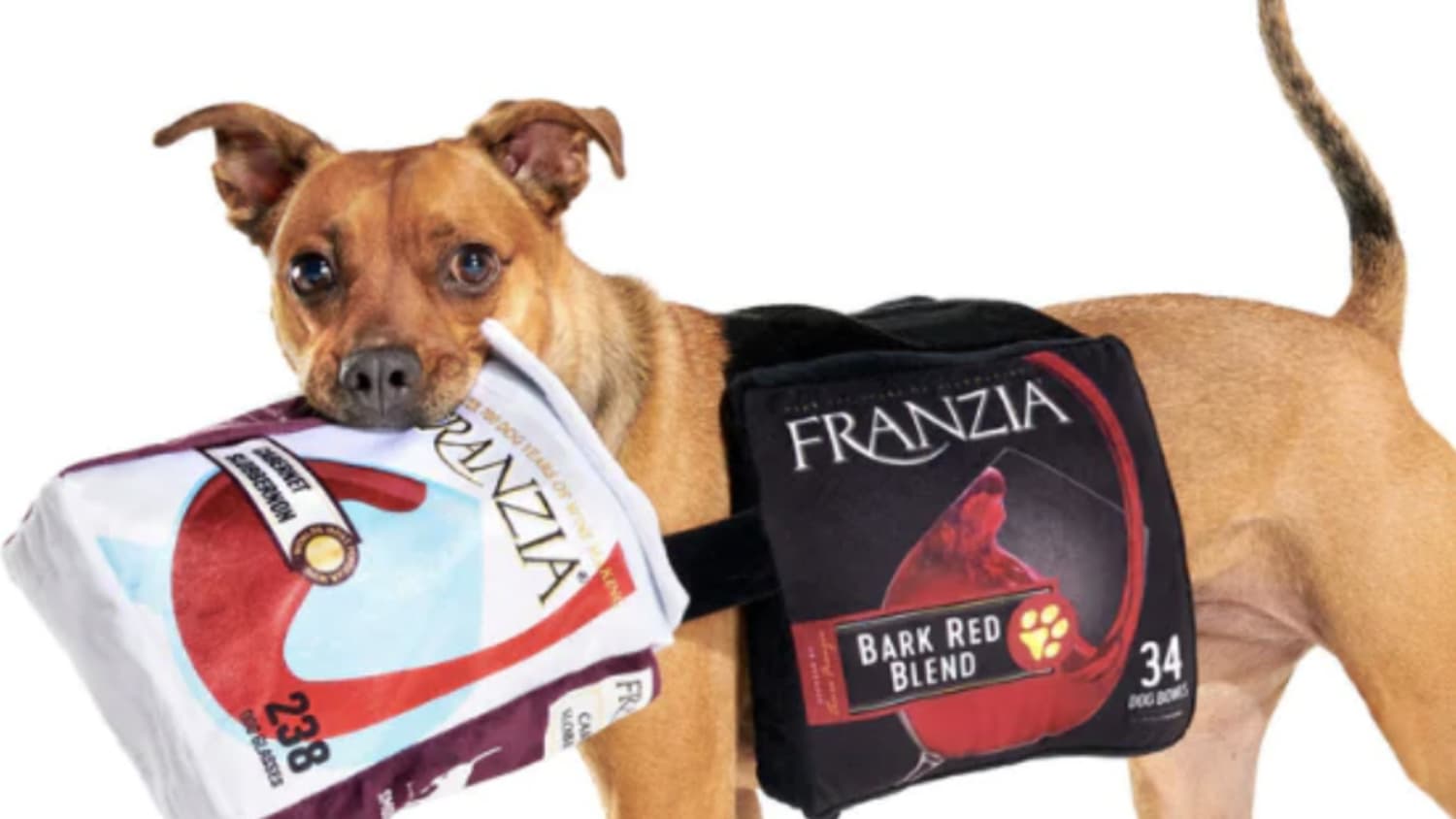 Franzia Halloween