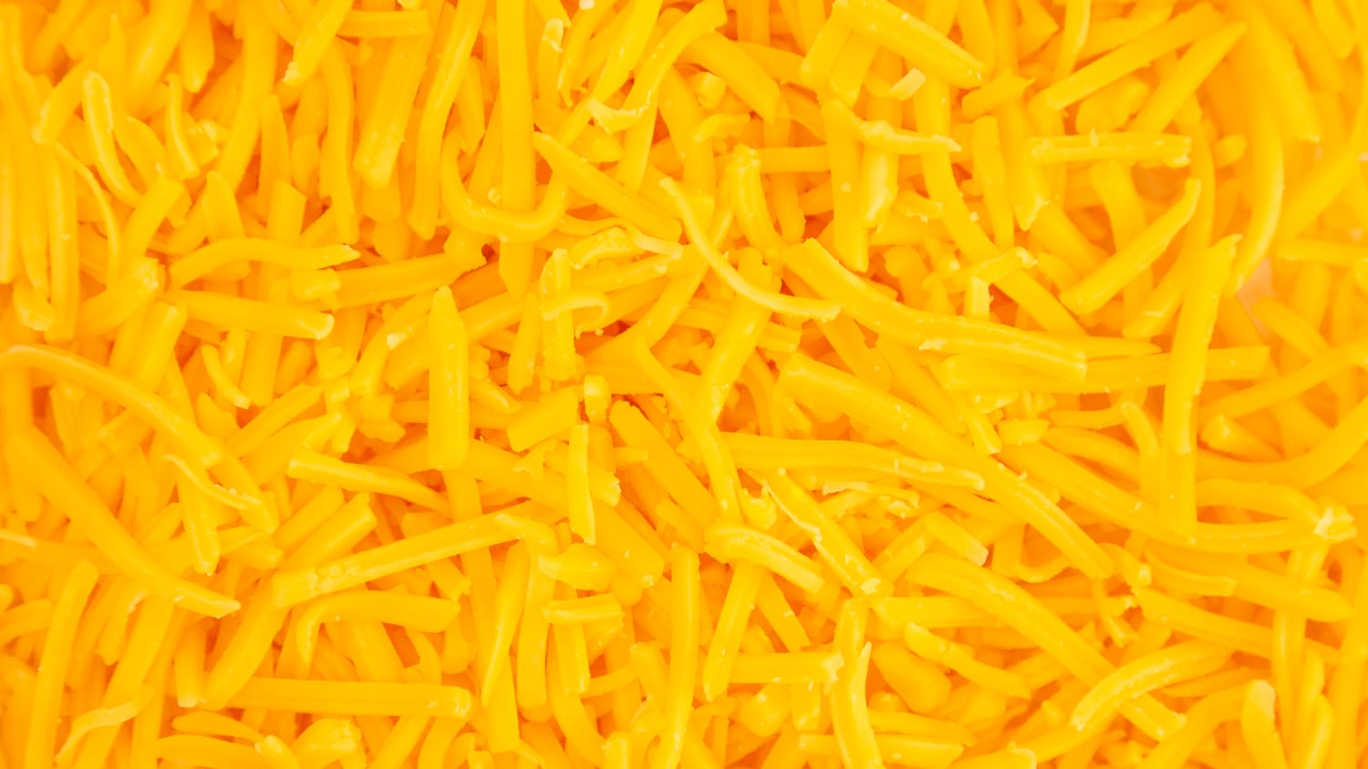 Moldy Sharp Cheddar Cheese