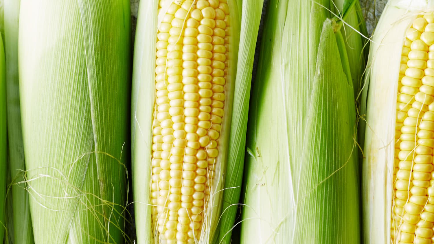 White Corn Images