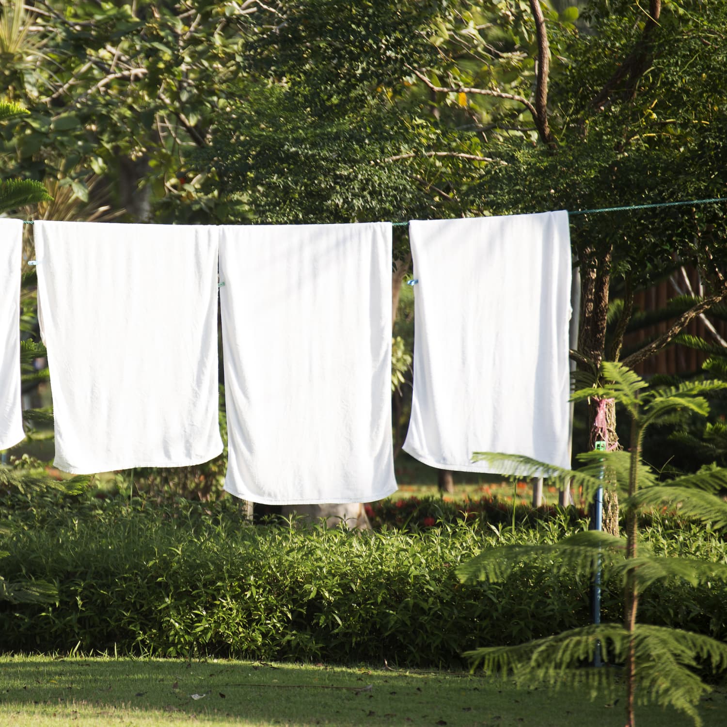white sheets hanging