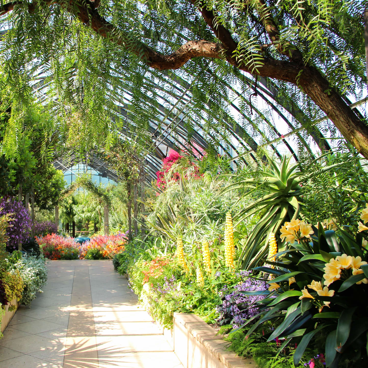 Botanical Garden Flowers