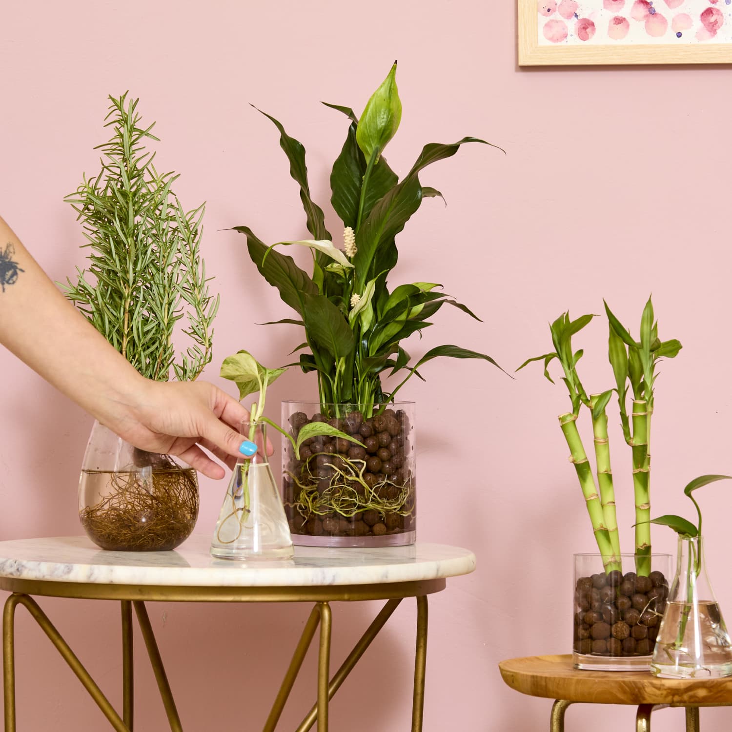 Cool Hydroponic Designs