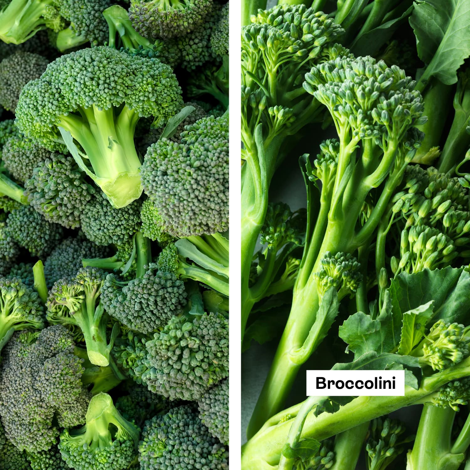 cute broccoli names