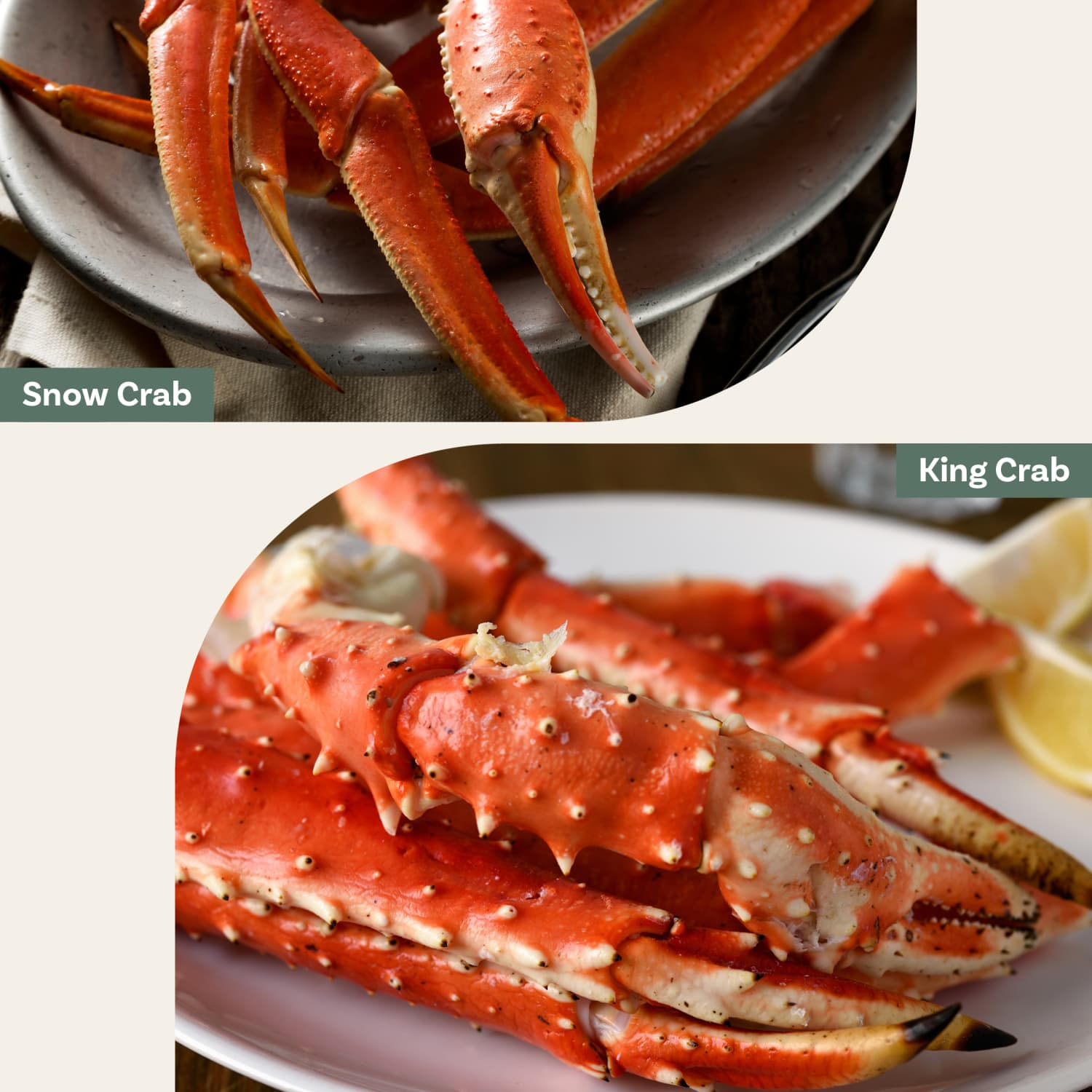how to cook king snow crab