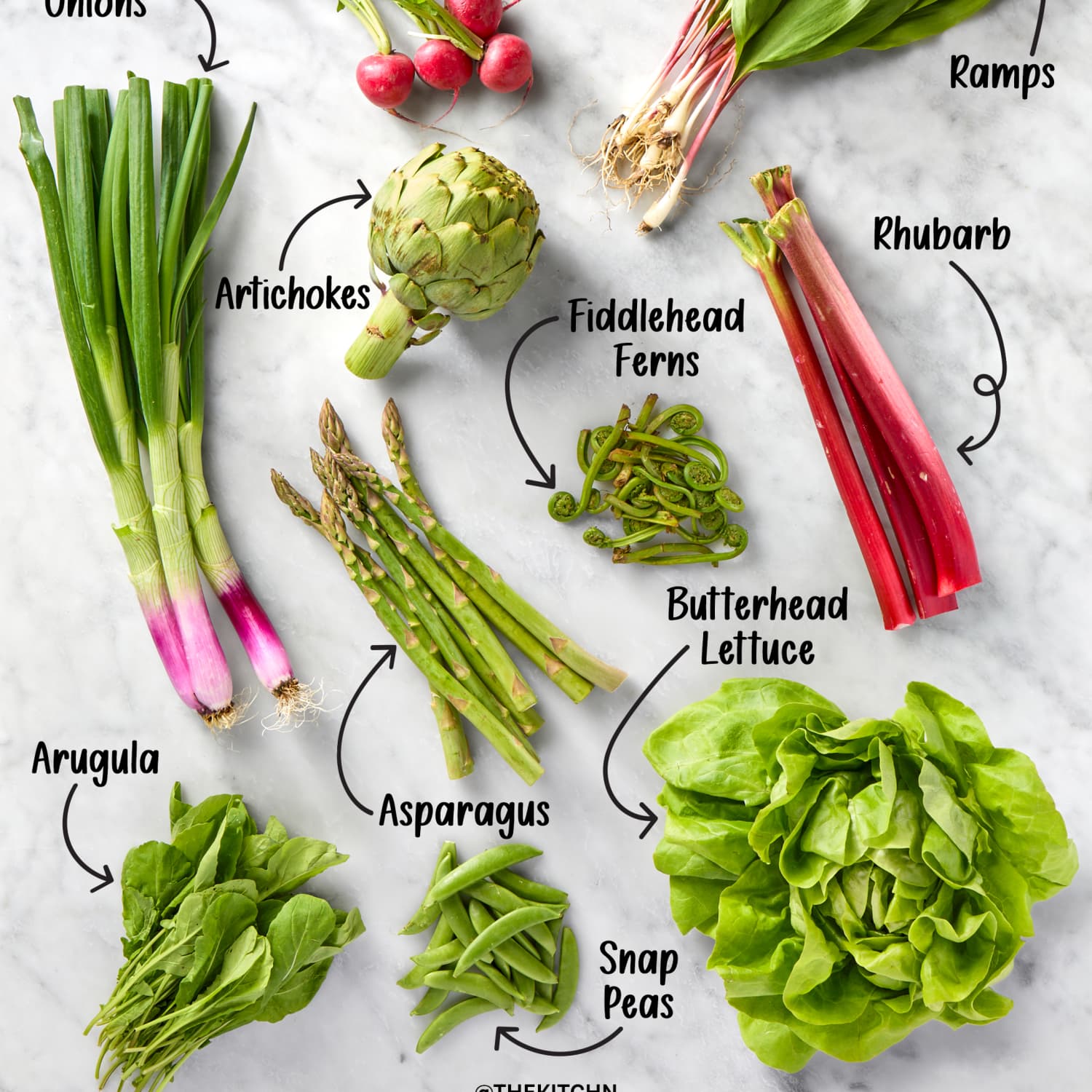 vegetable plants types