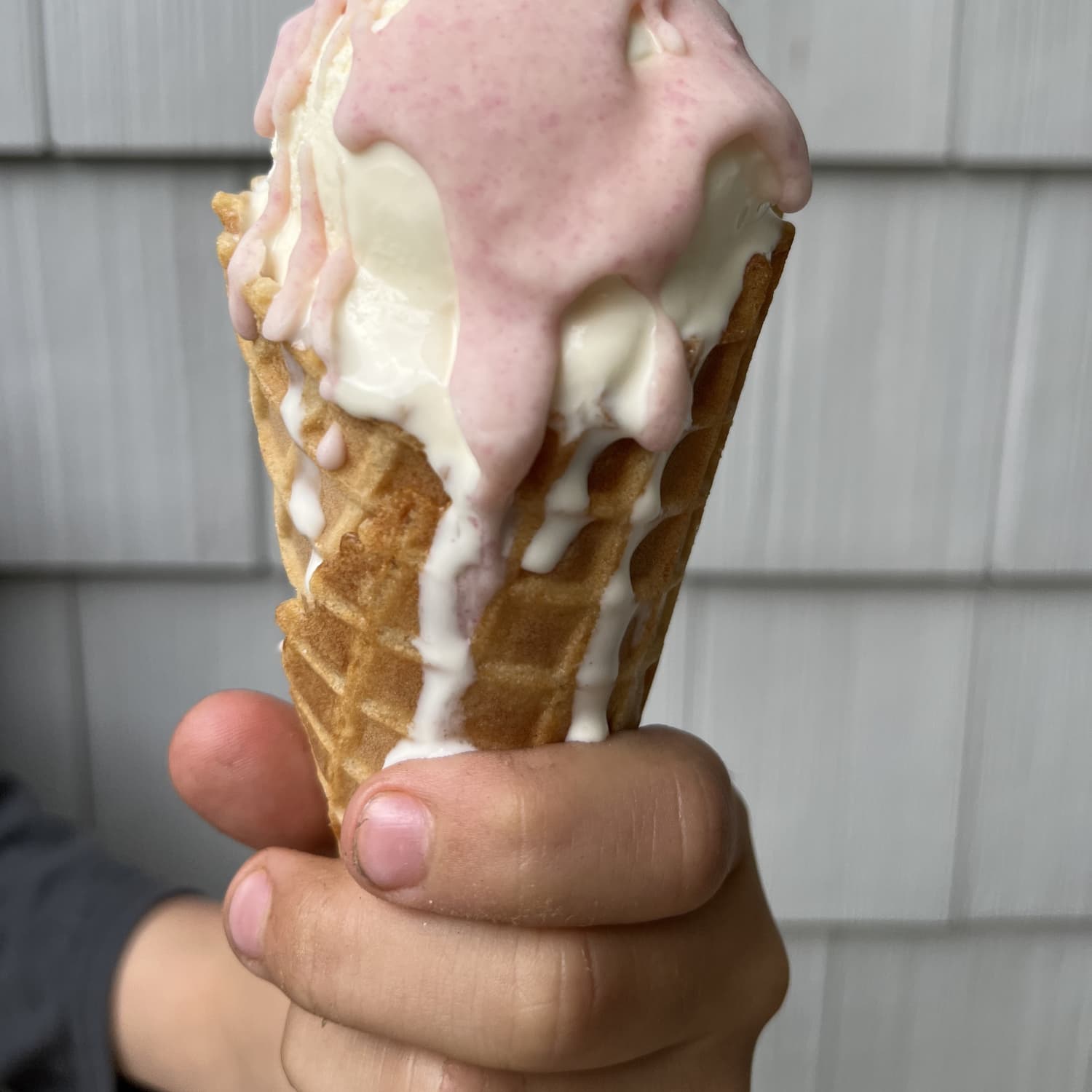 raspberry magic shell