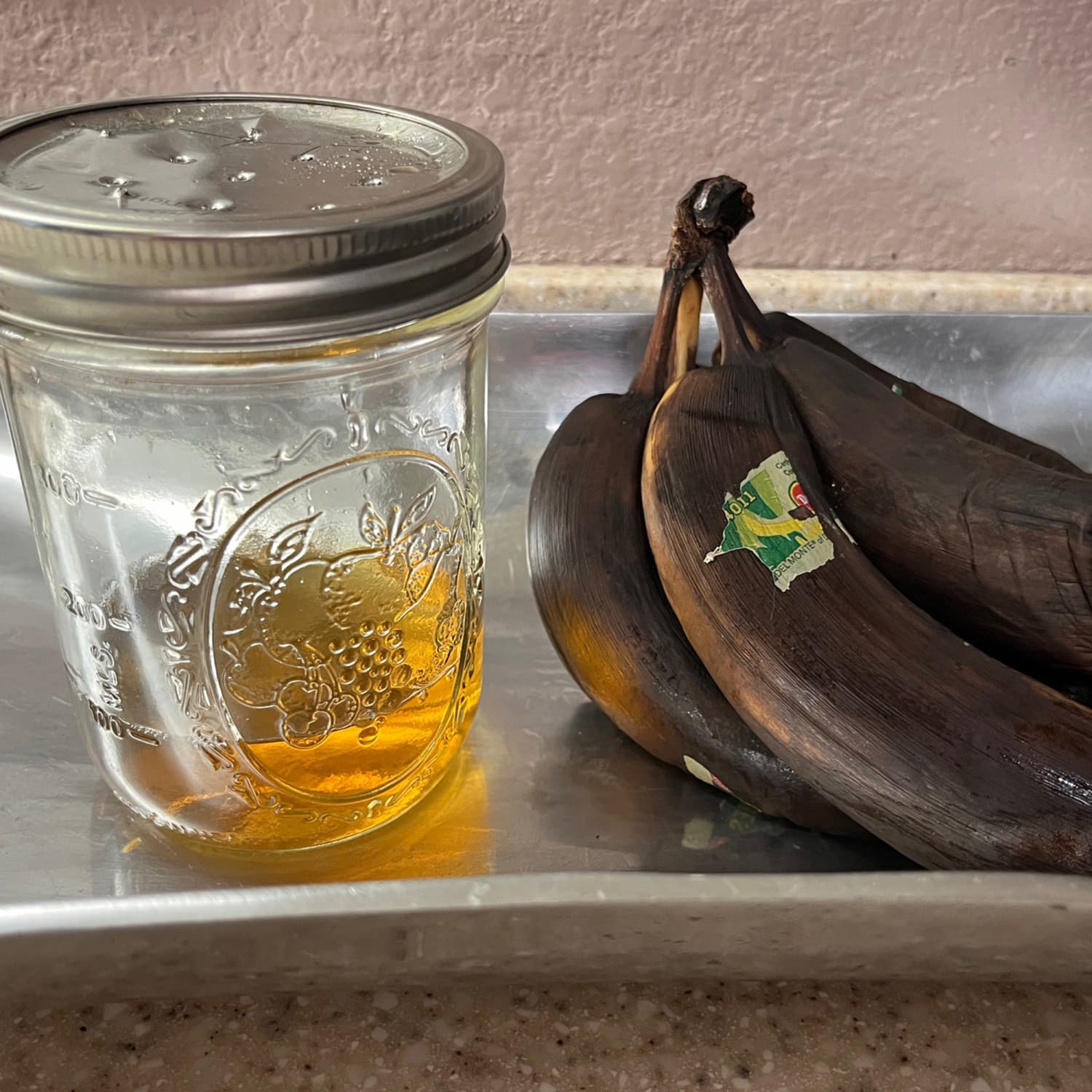 fruit fly trap diy