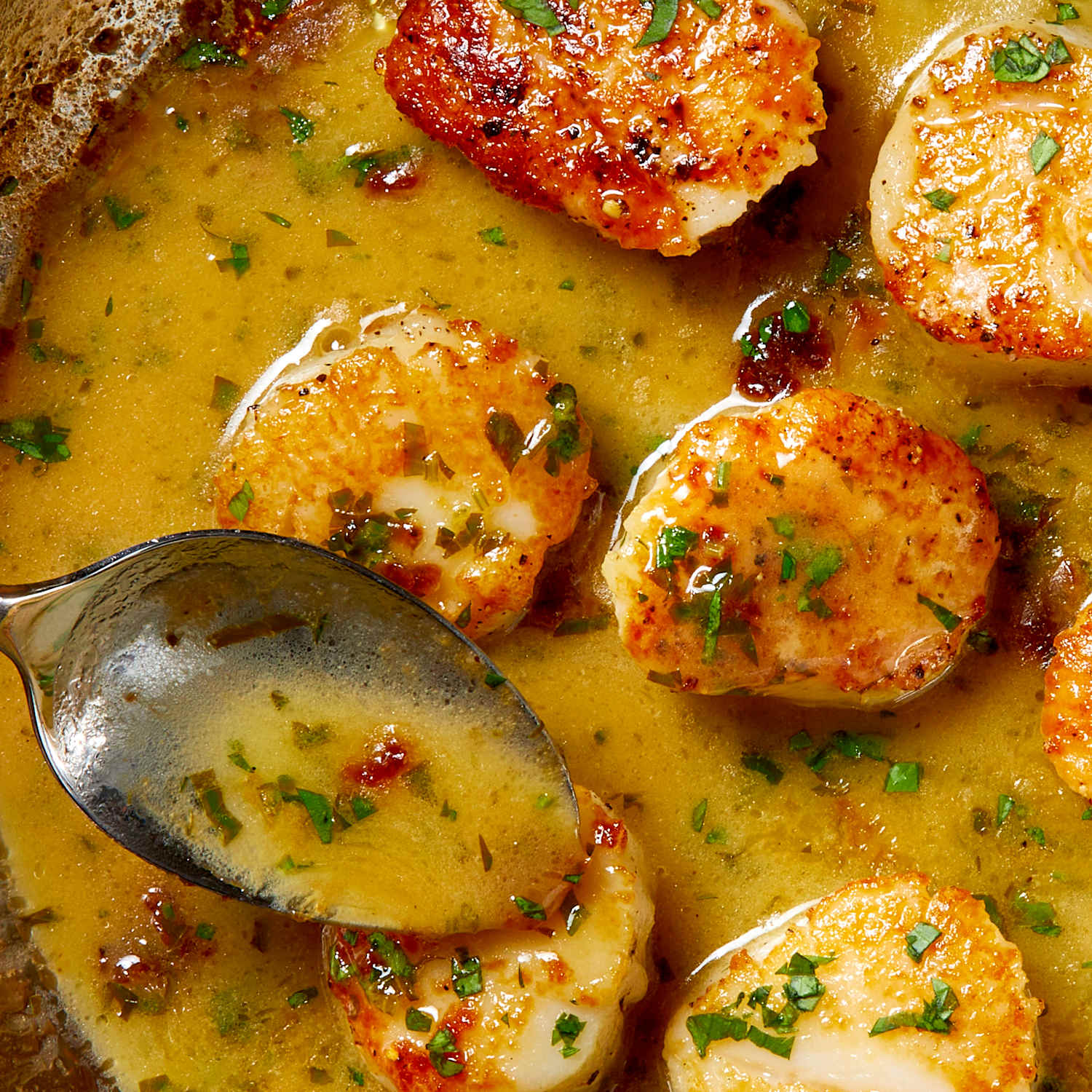 sea scallops