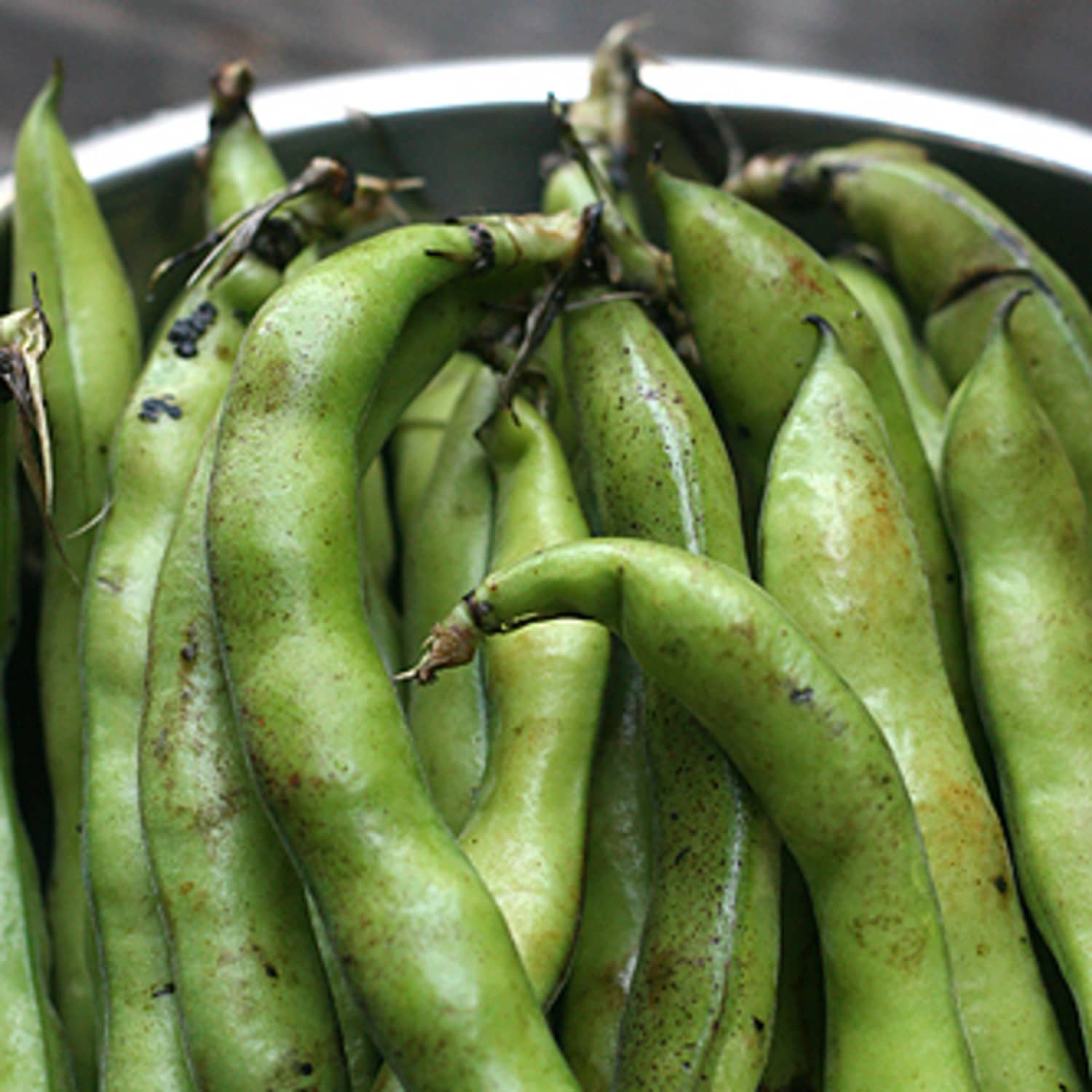 how to boil fava beans