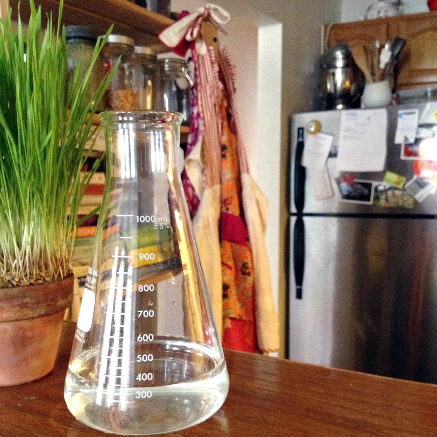 beaker function and purpose